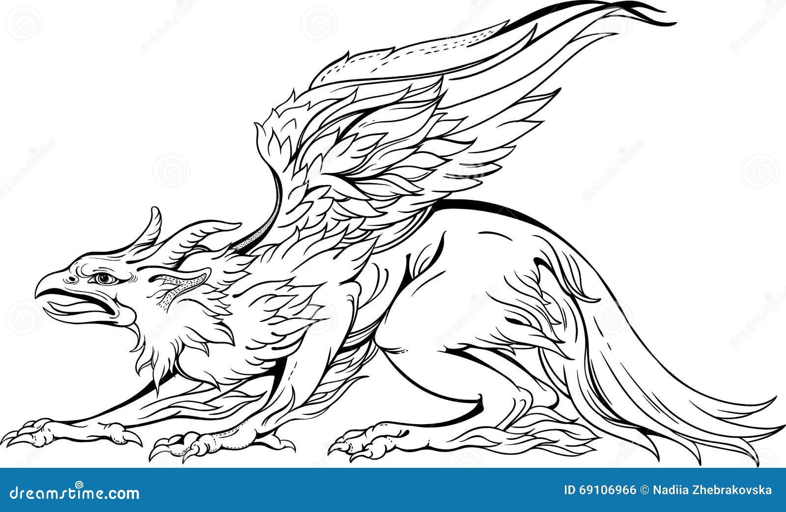 Greif, Großaufnahme, Schwarzweiss Vektor Abbildung - Illustration von ...