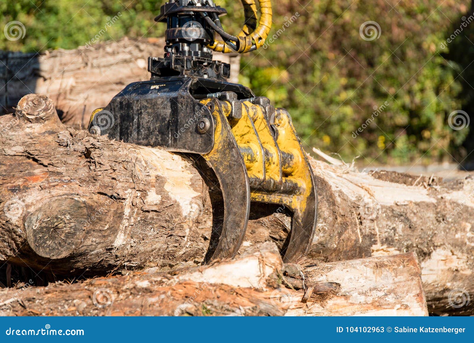 Greifer eines Krans stock image. Image of logging, moving - 104102963