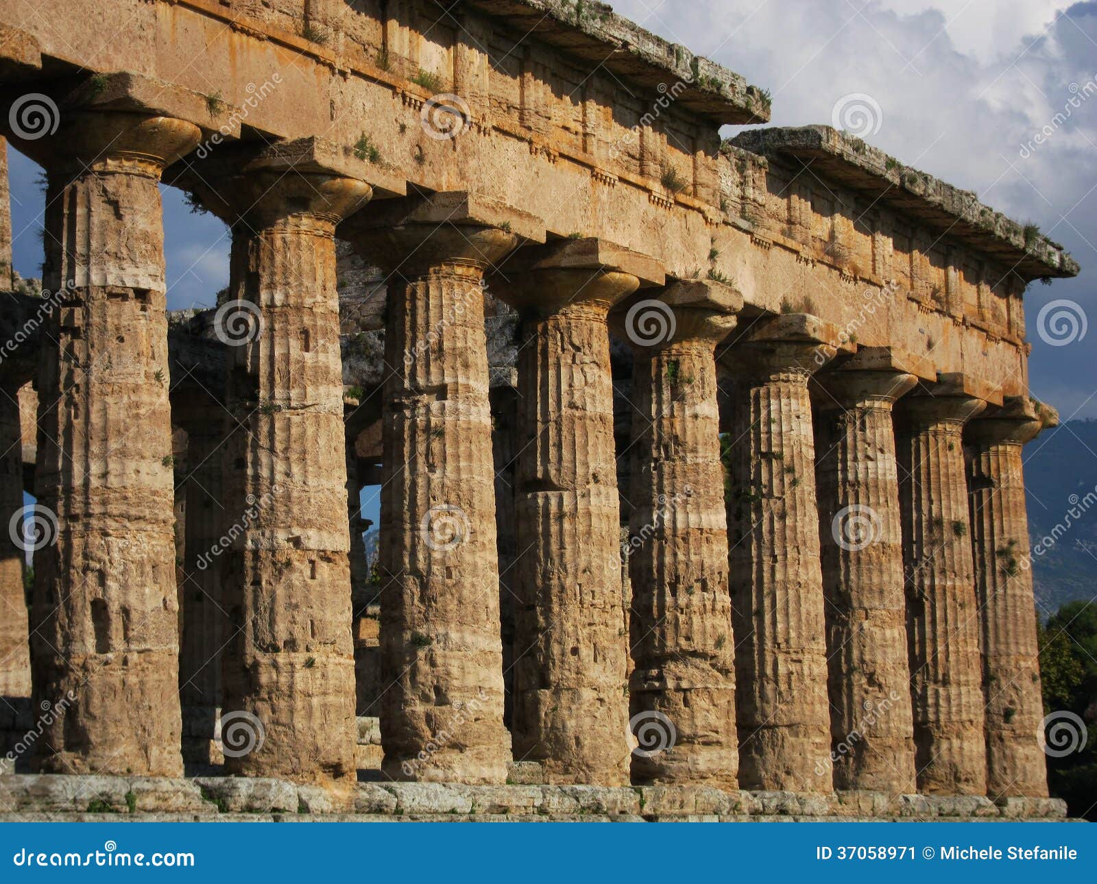 Grekiska Kolonner Av En Tempel I Paestum Fotografering för Bildbyråer ...
