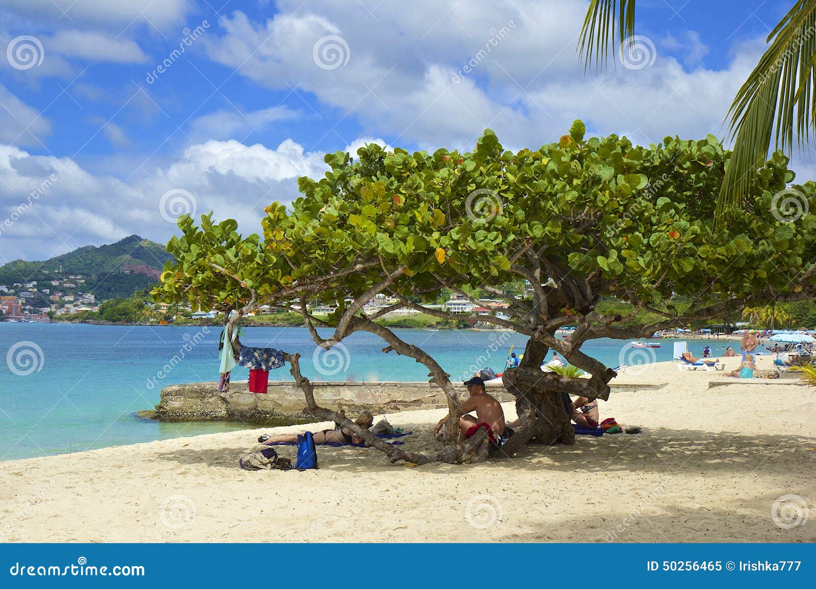Grenada beach, Caribbean editorial image. Image of sandy - 50256465