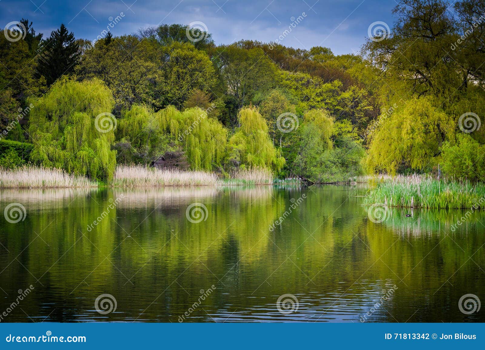 The Grenadier Pond, at High Park, in Toronto, Ontario. Stock Photo ...