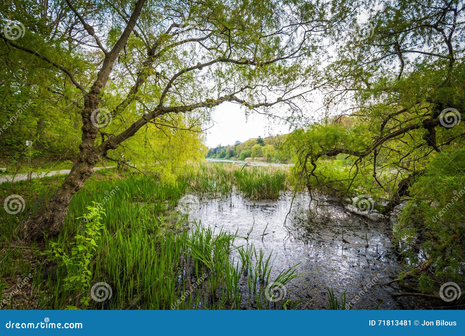 The Grenadier Pond, at High Park, in Toronto, Ontario. Stock Image ...