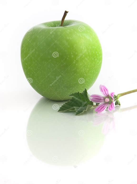 Grenn Apple stock image. Image of closeup, daisy, kitchen - 913609