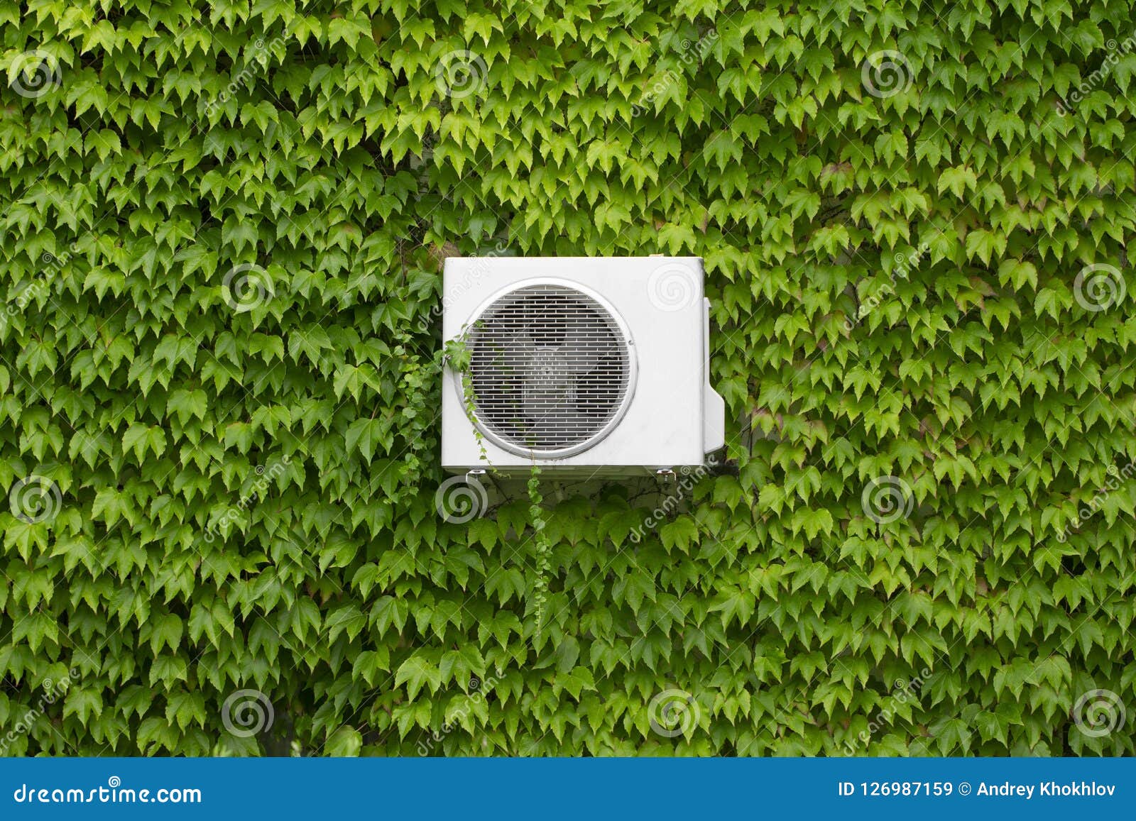 Grey Air Conditioning on a Wall Overgrown with Green Leaves Stock Image ...