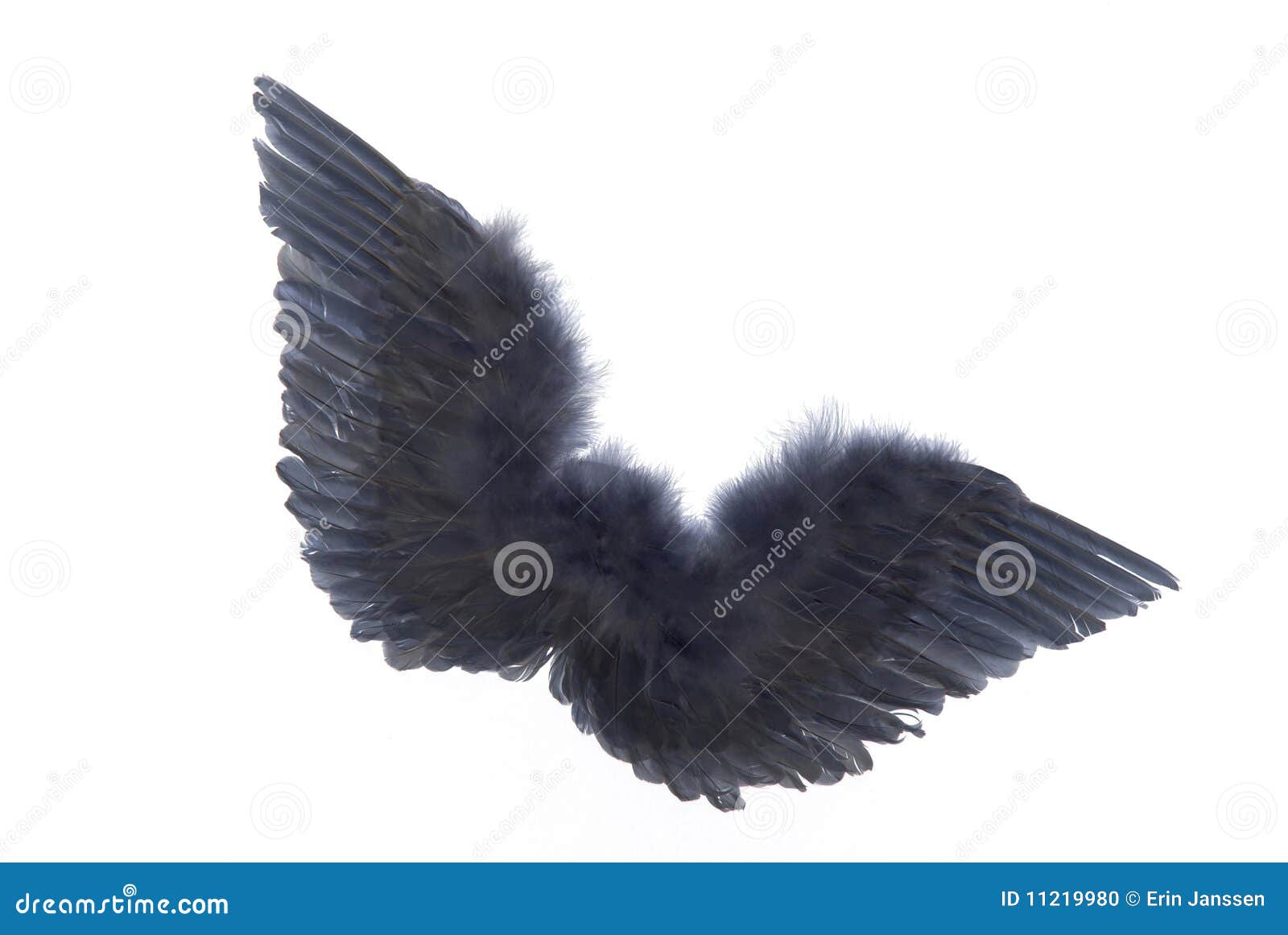 Grey angel wings stock photo. Image of soft, texture - 11219980