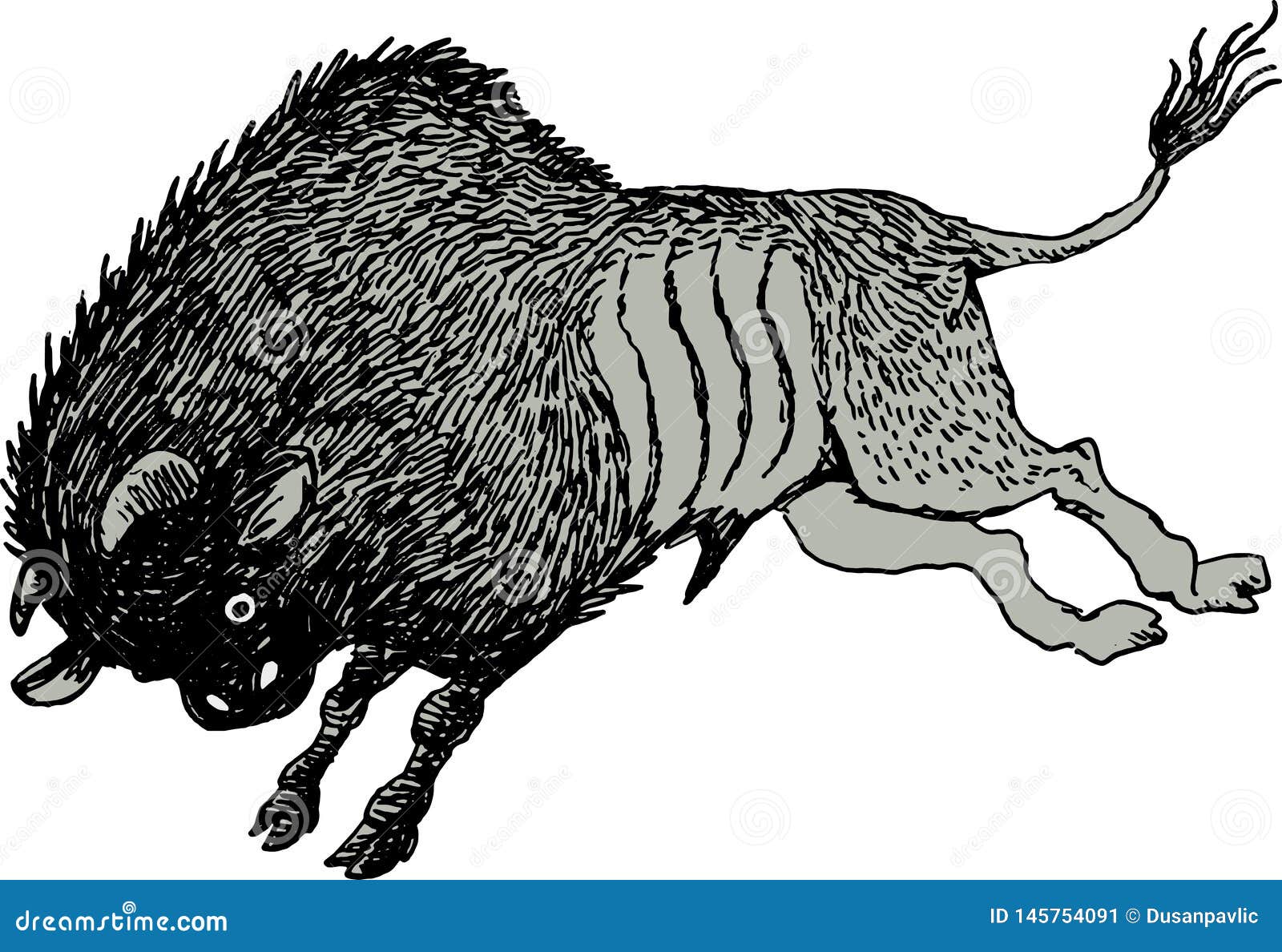 Grey angry bull run stock illustration. Illustration of line - 145754091