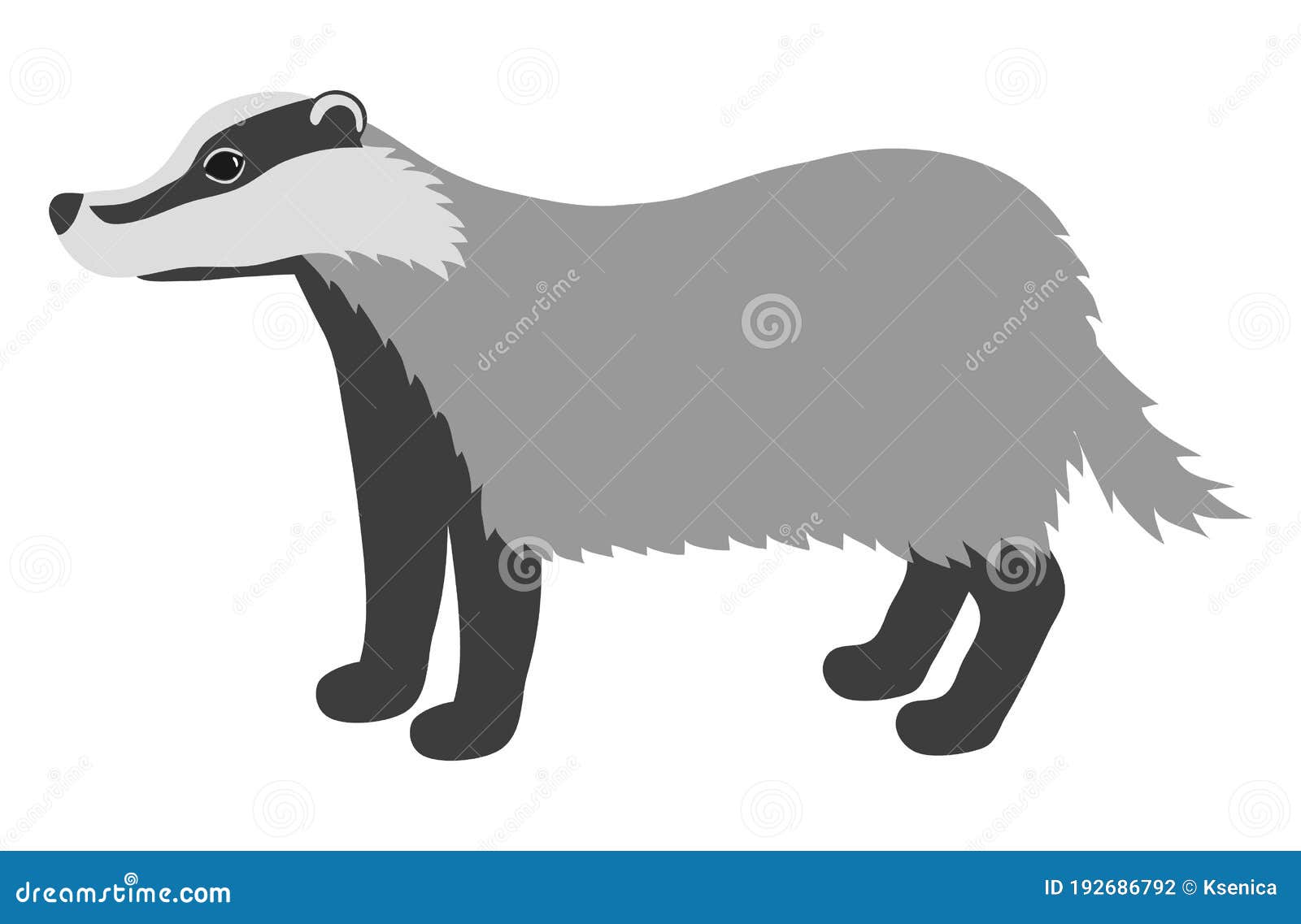 Grey badger. Side view. stock vector. Illustration of white - 192686792
