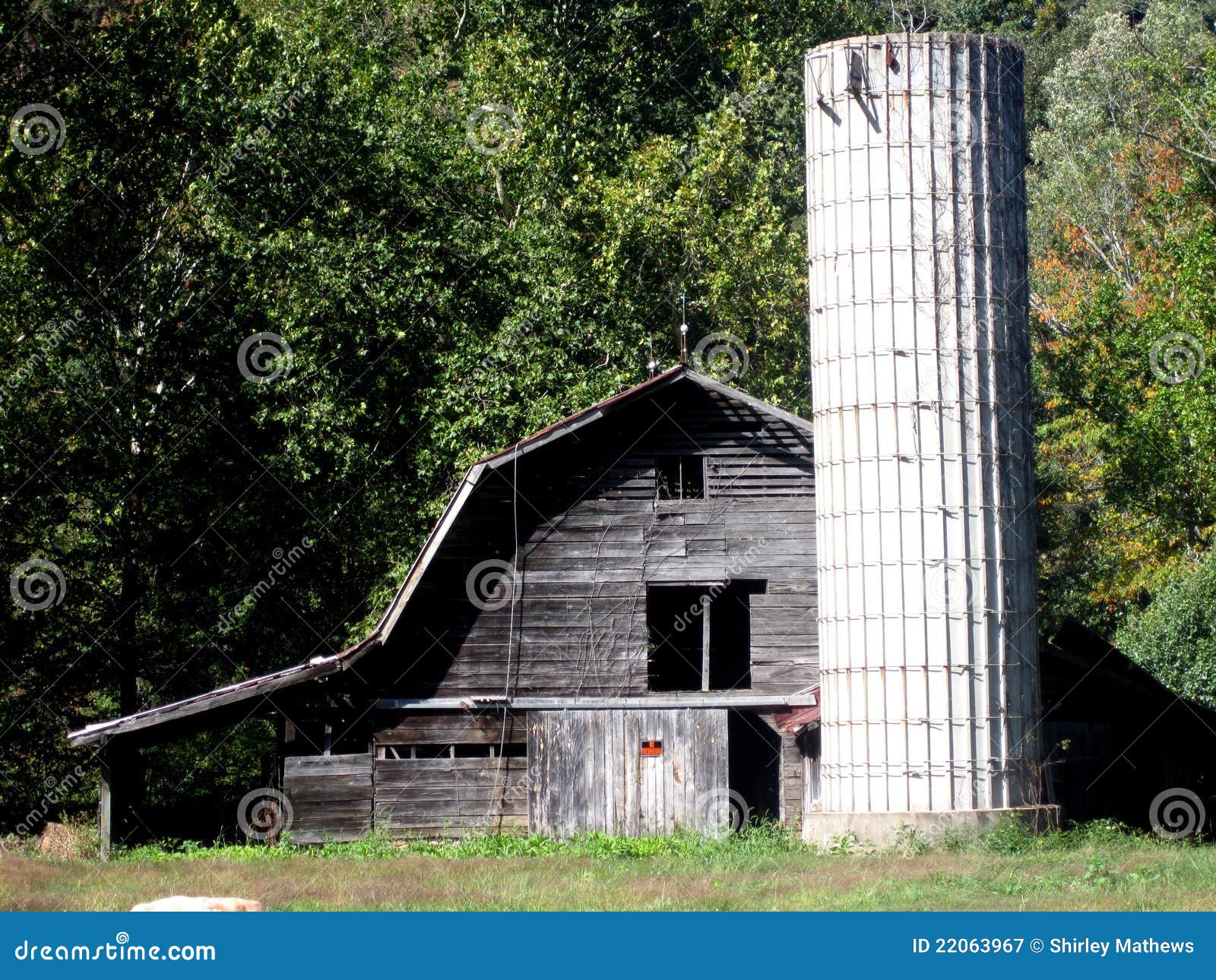 Old Grey Barn Silo Stock Photos - Free & Royalty-Free Stock Photos from ...