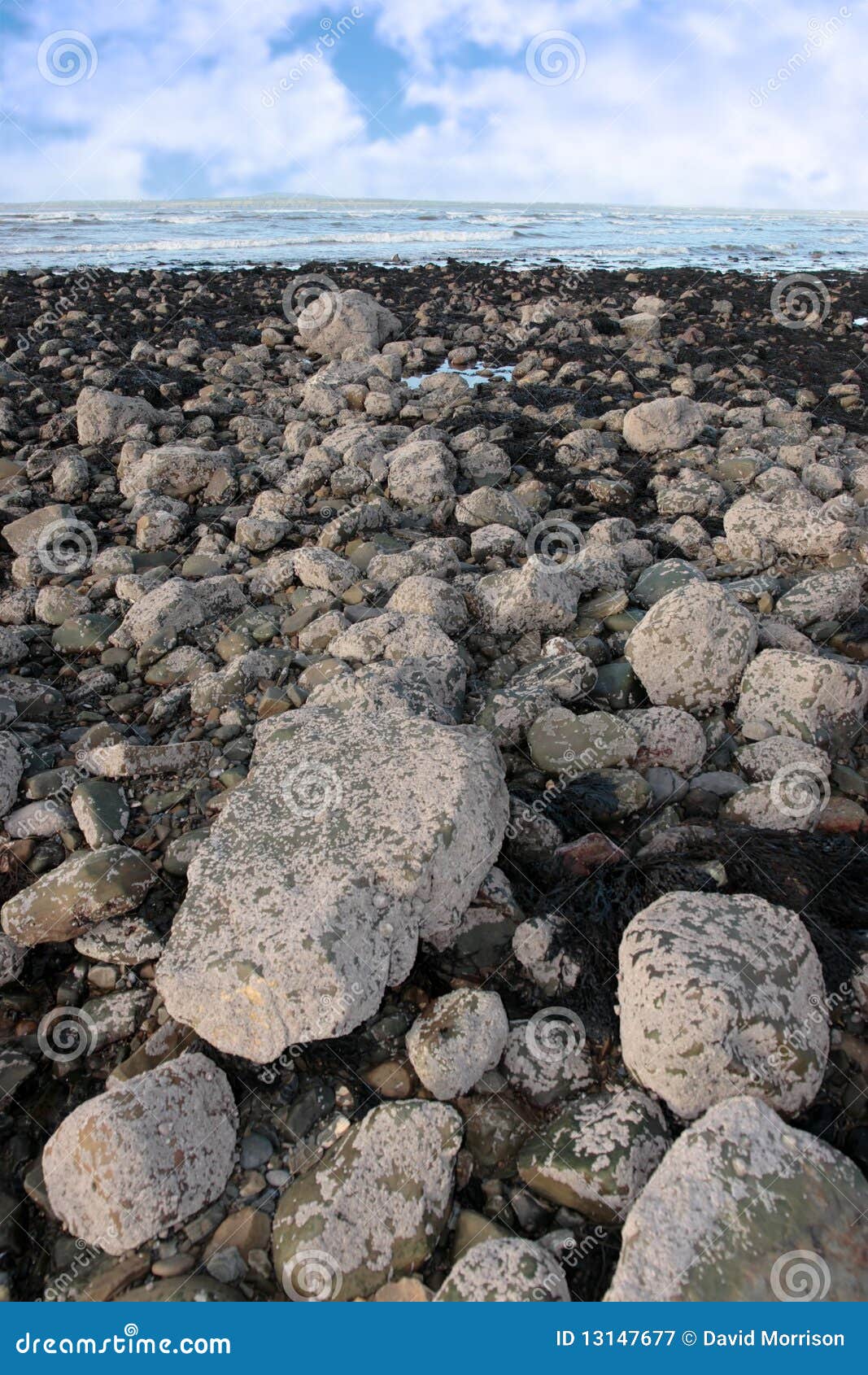 Grey beach boulders stock image. Image of bright, pool - 13147677