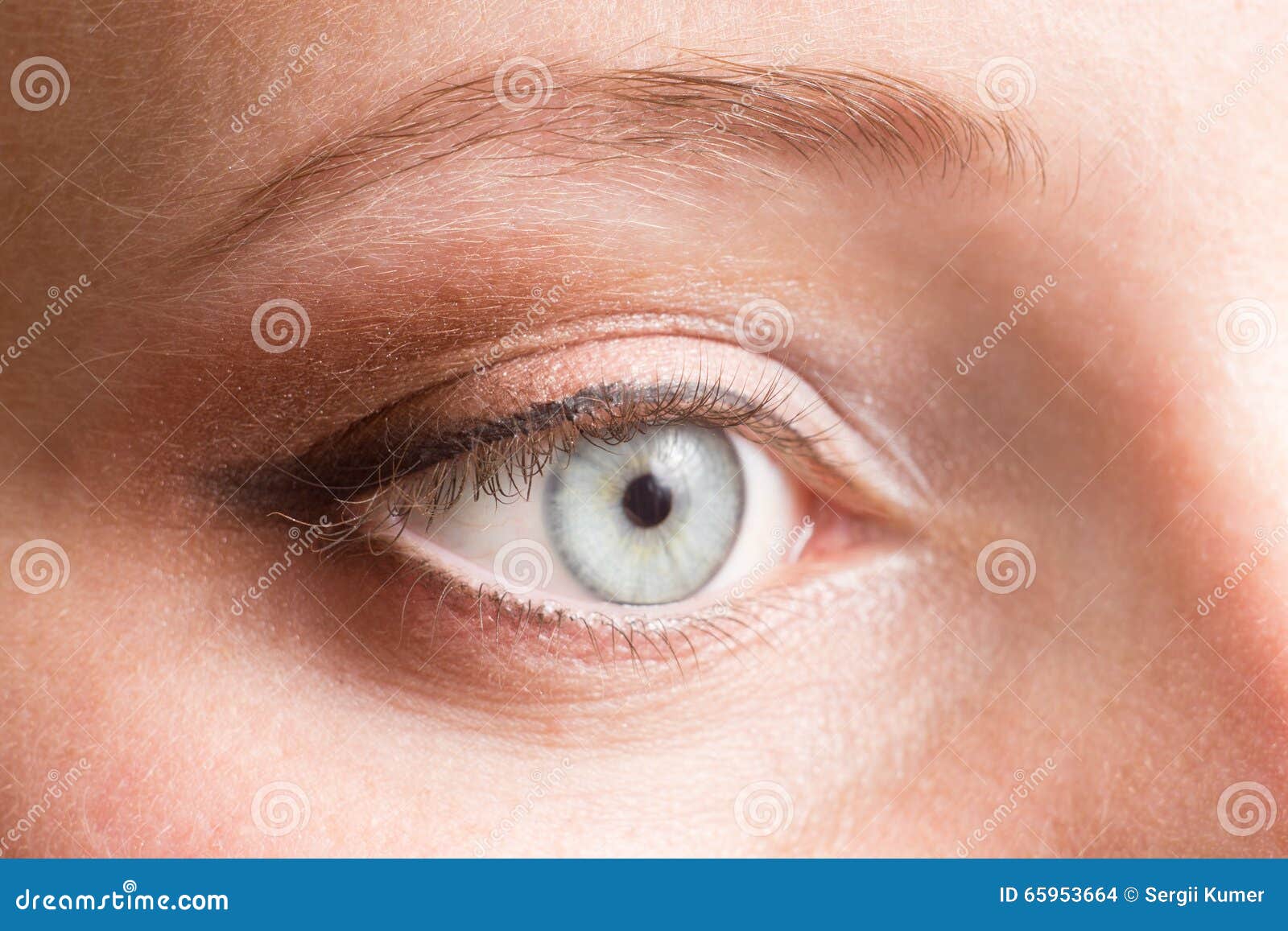 Grey Beautiful Eye with Make Up Stock Photo - Image of person, clean ...