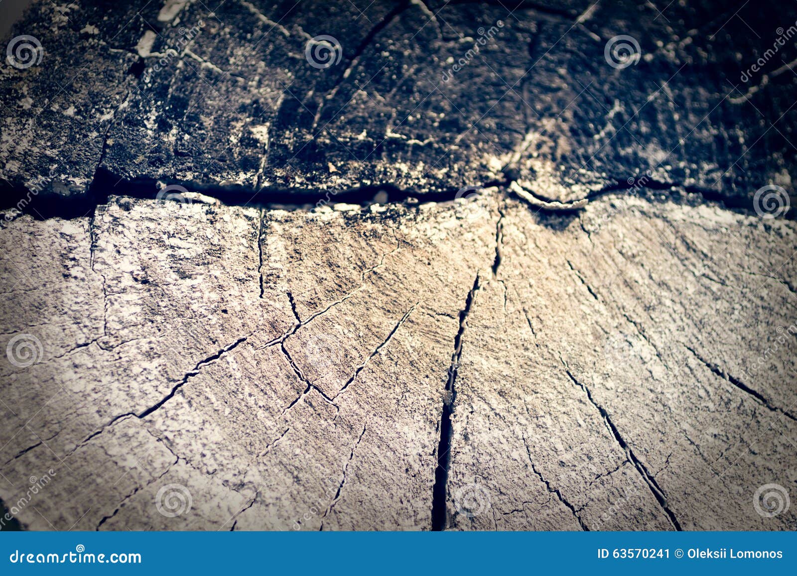 Grey beautiful slice stump stock image. Image of background - 63570241