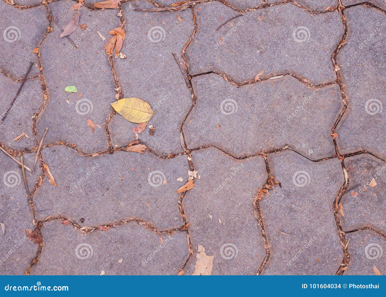 Grey Brick Pavement Park Texture Background. Stock Photo - Image of ...