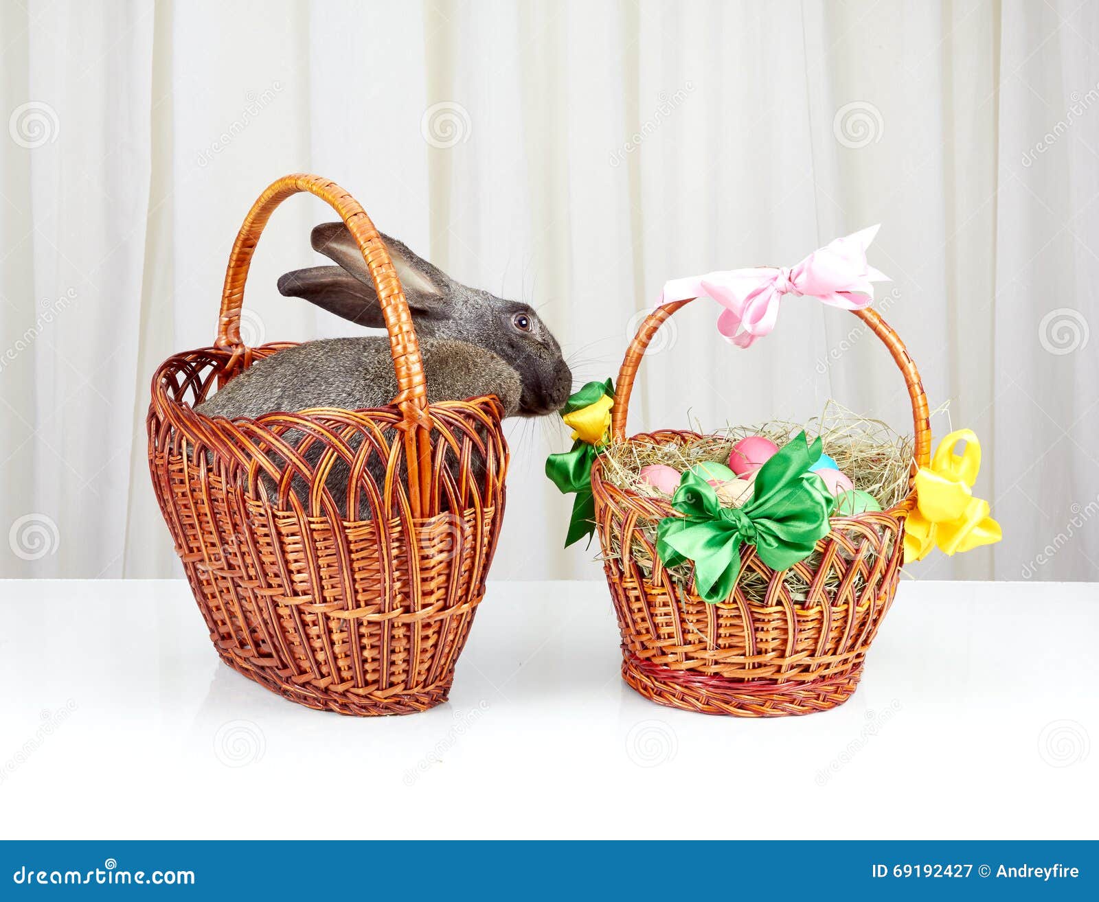 Grey Bunny in the Basket Reaches for the Easter Basket Stock Image ...