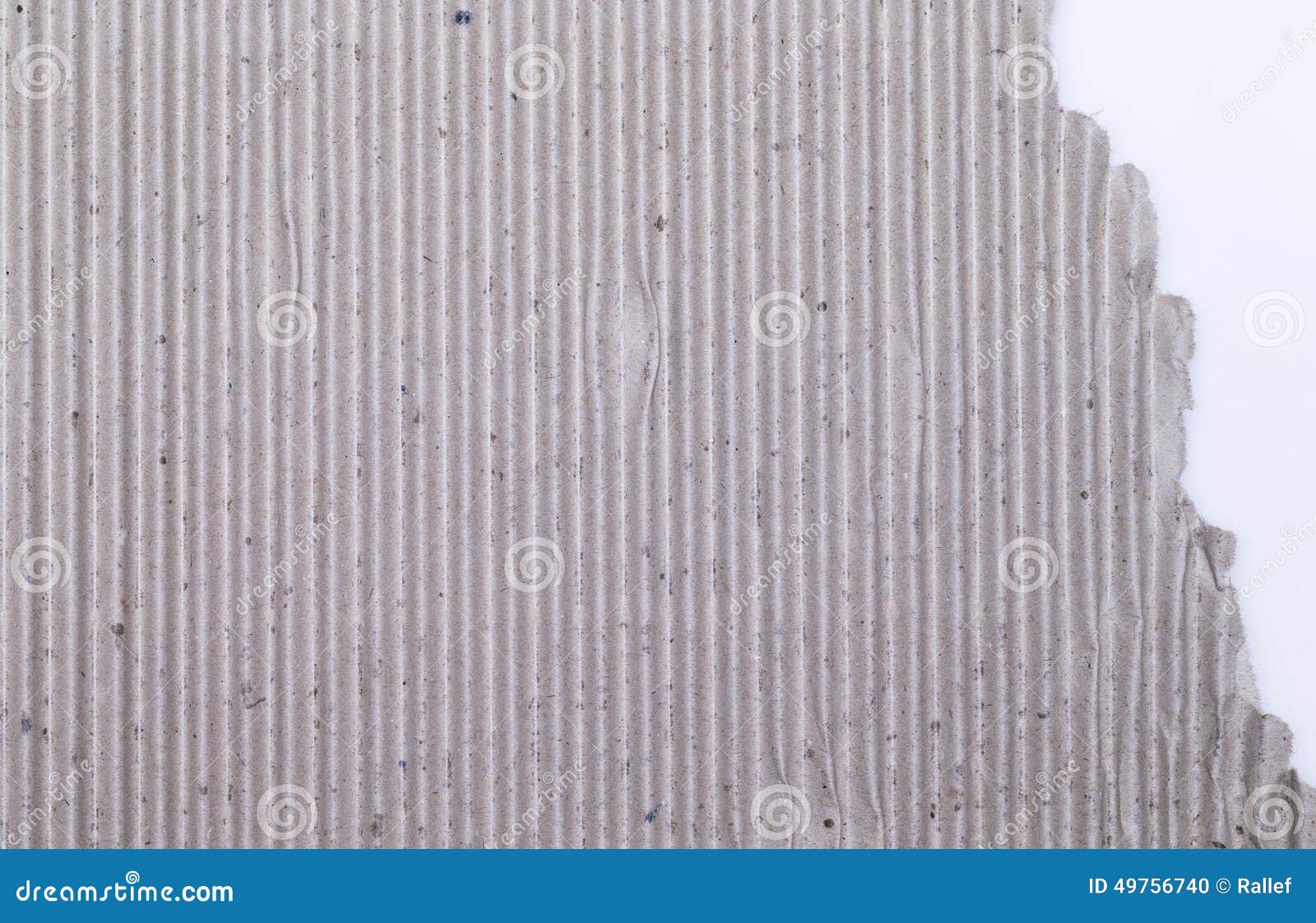 Grey cardboard texture stock photo. Image of paper, grey - 49756740