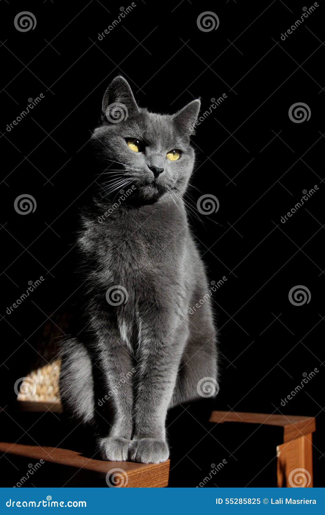 Bath Throught Stock Photos - Free & Royalty-Free Stock Photos from ...