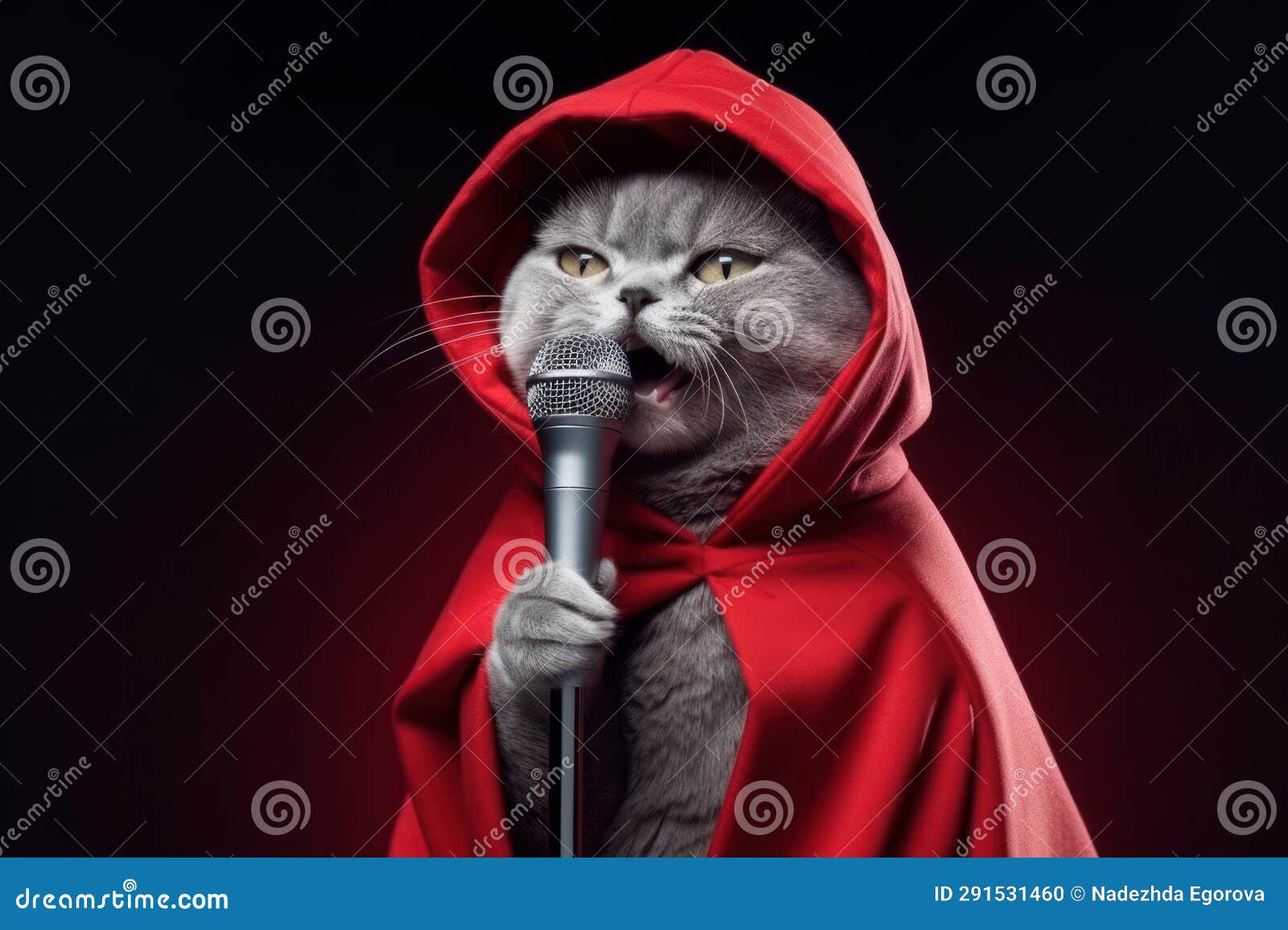 A Grey Cat in a Red Cape Sings into a Microphone on Stage Stock ...