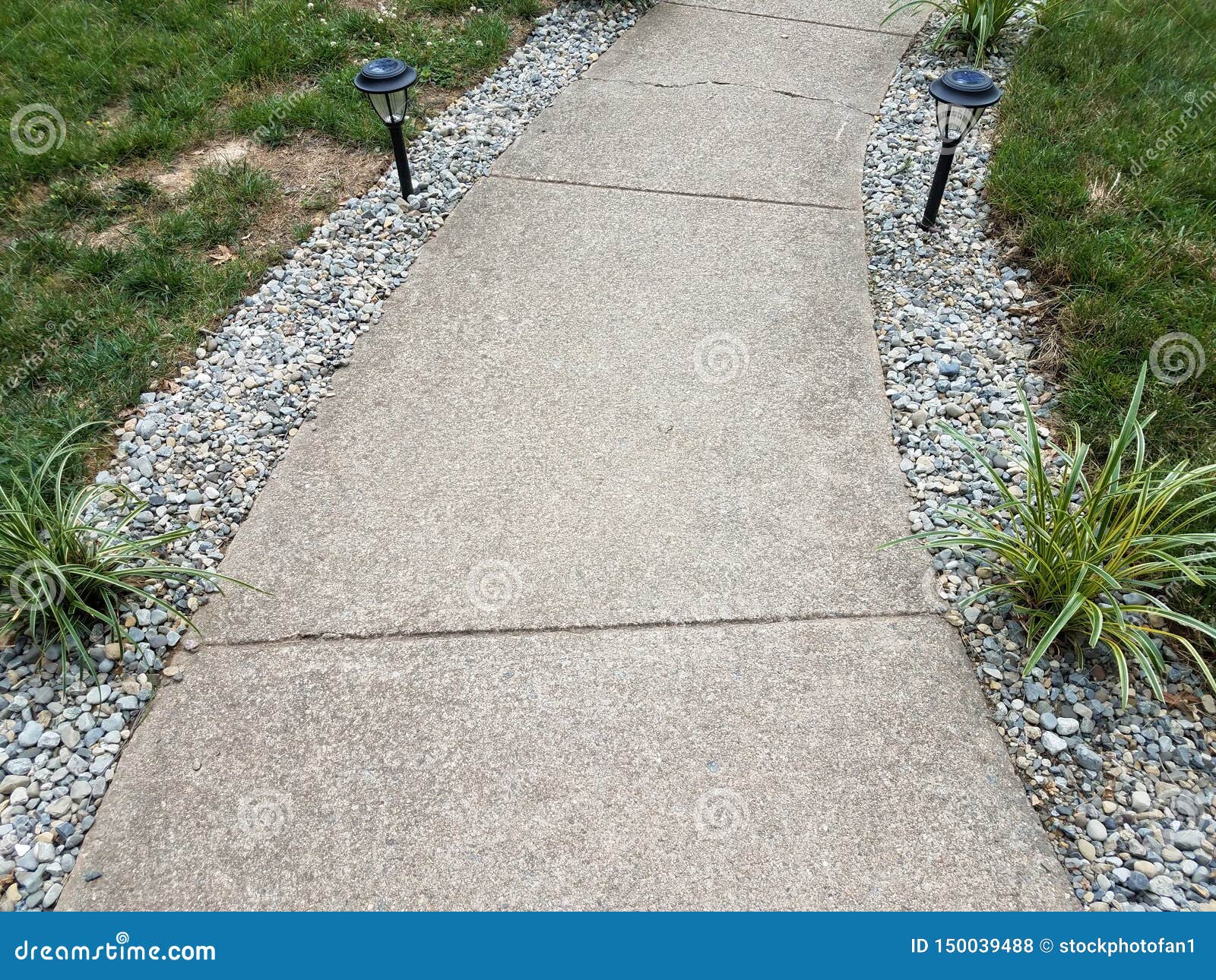 Grey Cement Path with Solar Lights and Grasses Stock Photo - Image of ...