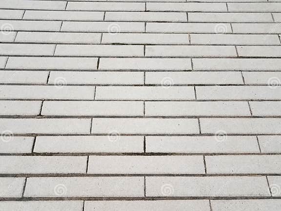 Grey Cement Rectangle Tiles on Ground or Floor Stock Image - Image of ...