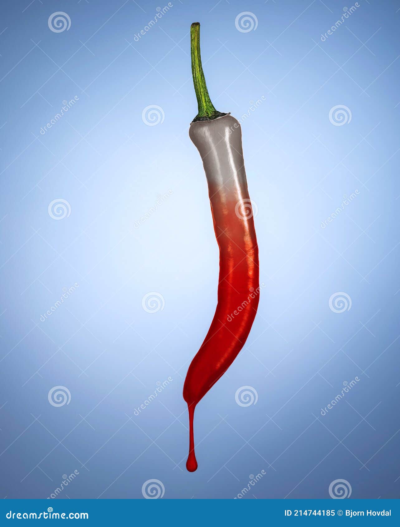 Chili pepper stock image. Image of nahuatl, chile, peppers - 214744185