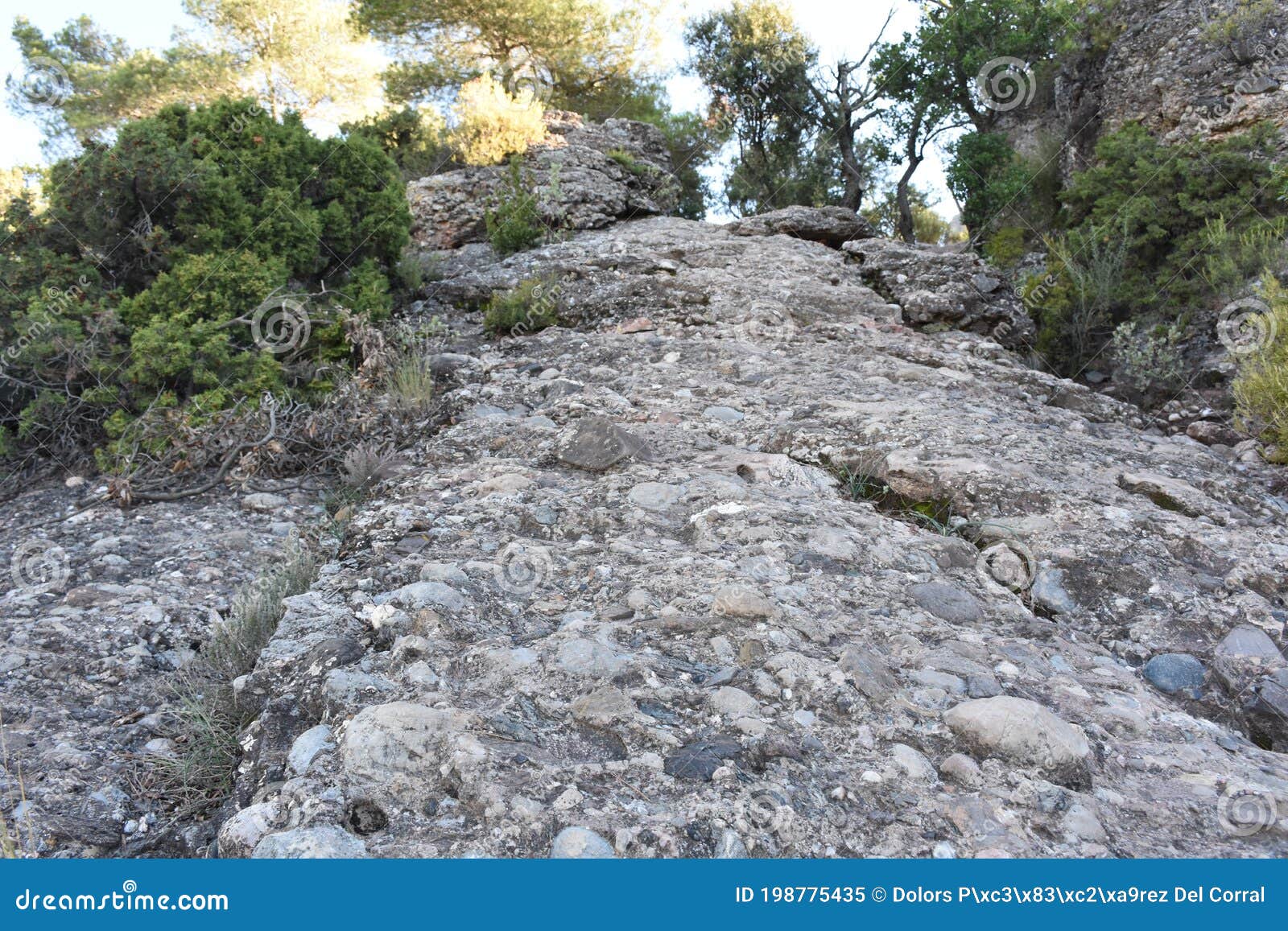 Grey cliff on the mountain stock image. Image of climber - 198775435