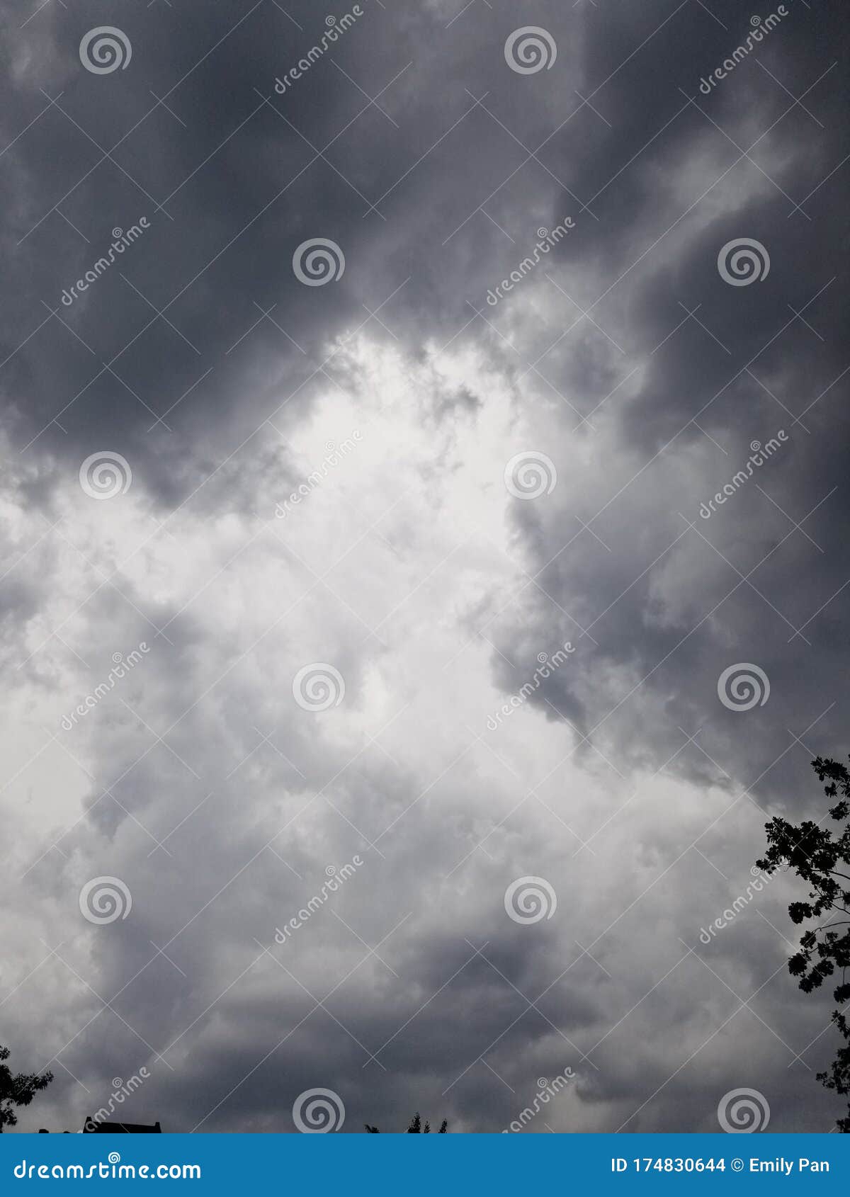 Grey Clouds Above the Trees before the Rain Stock Photo - Image of ...