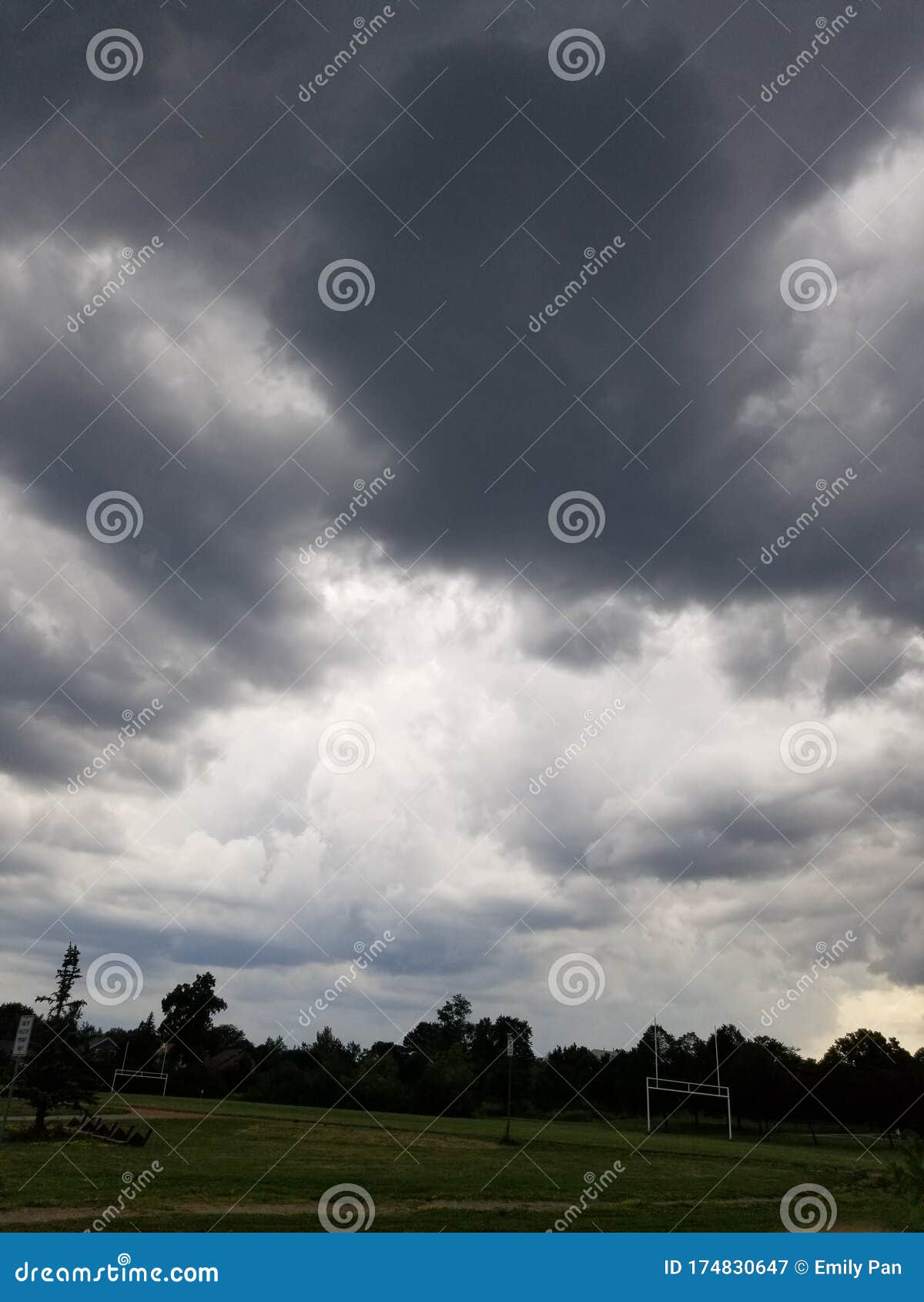 Grey Clouds Above the Trees before the Rain Stock Image - Image of ...