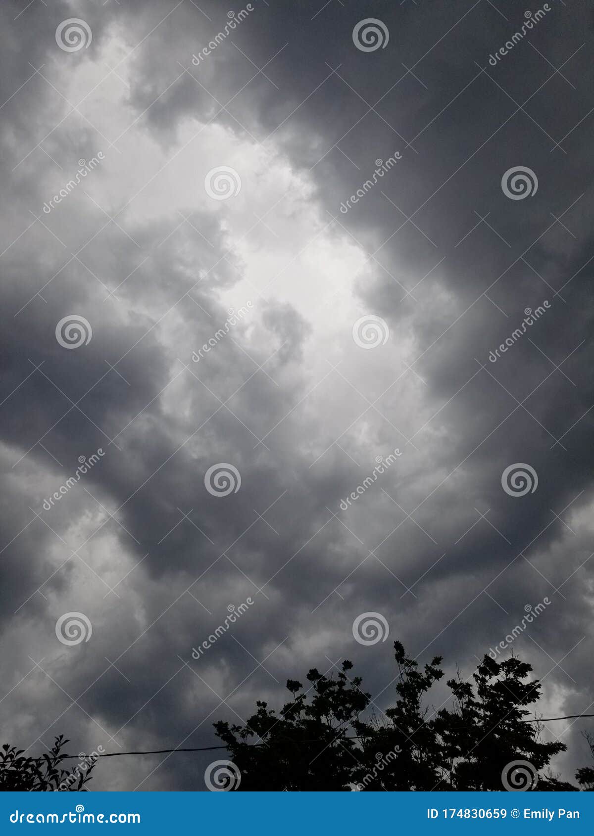 Grey Clouds Above the Trees before the Rain Stock Image - Image of ...