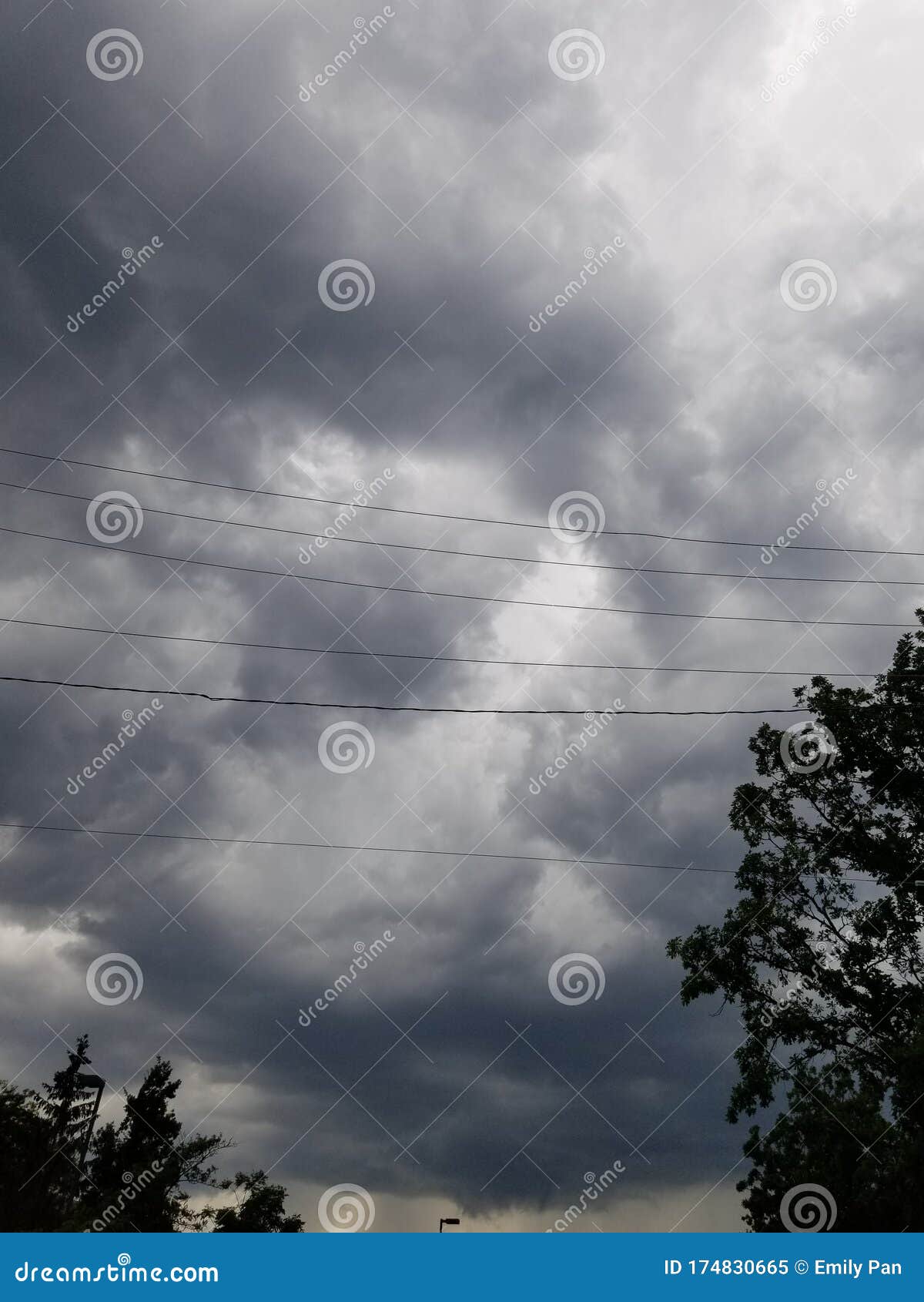 Grey Clouds Above the Trees before the Rain Stock Image - Image of rain ...