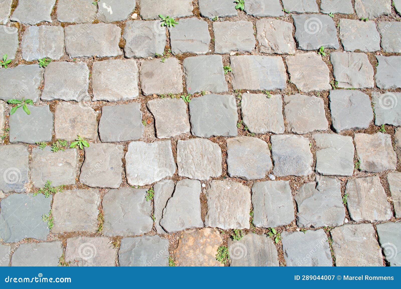 Grey cobble stone pattern stock image. Image of stone - 289044007