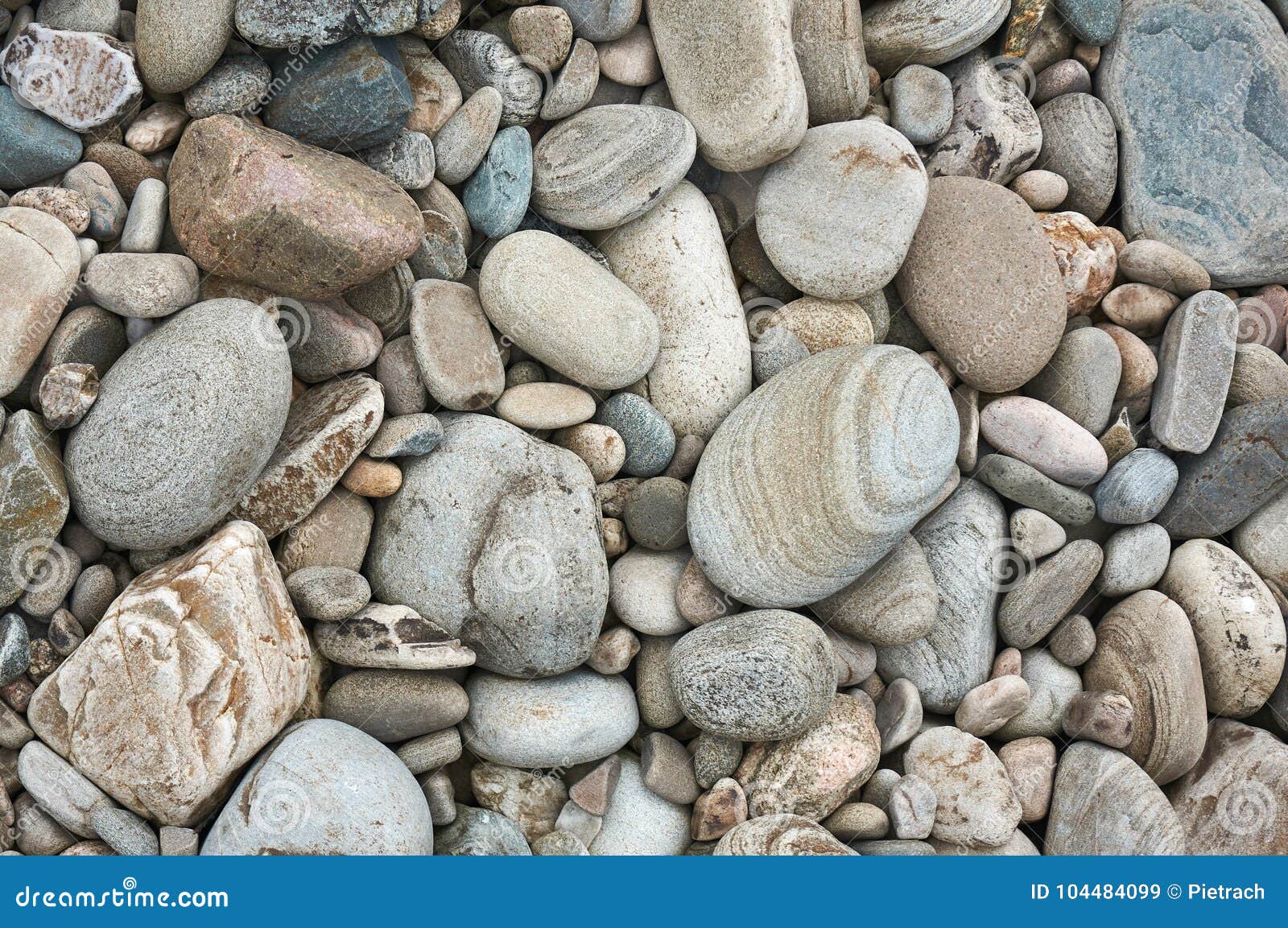 Grey Cobbles Rounded by River Erosion at a Former River Bed Stock Image ...