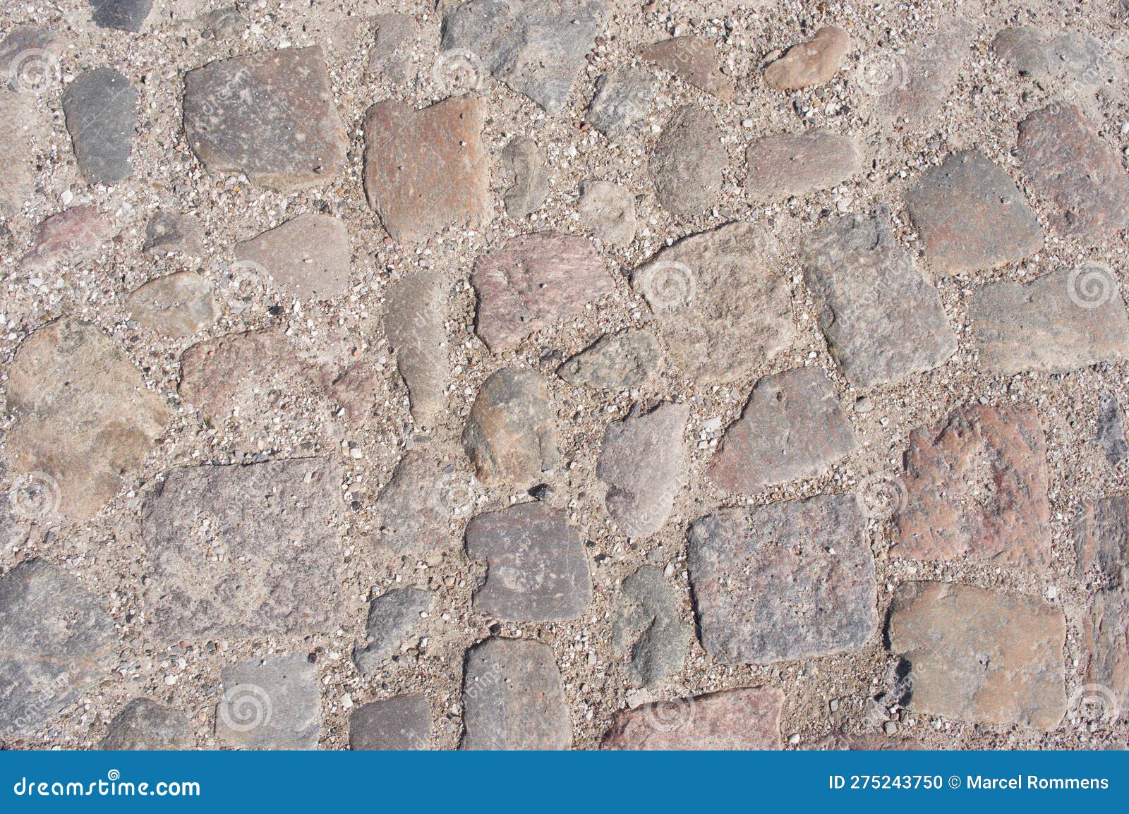 Grey Cobblestone Pavement Texture Background, Large Detailed Vertical ...