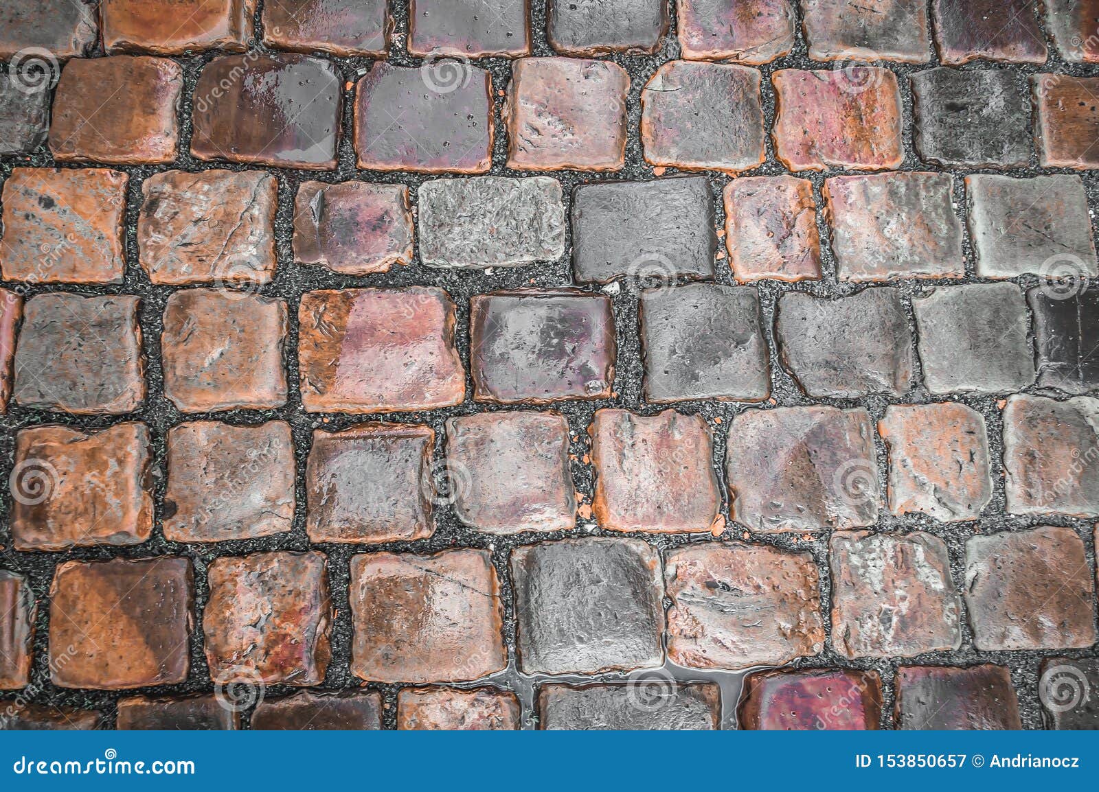 Grey Cobblestone Pavement after the Rain Stock Image - Image of brick ...