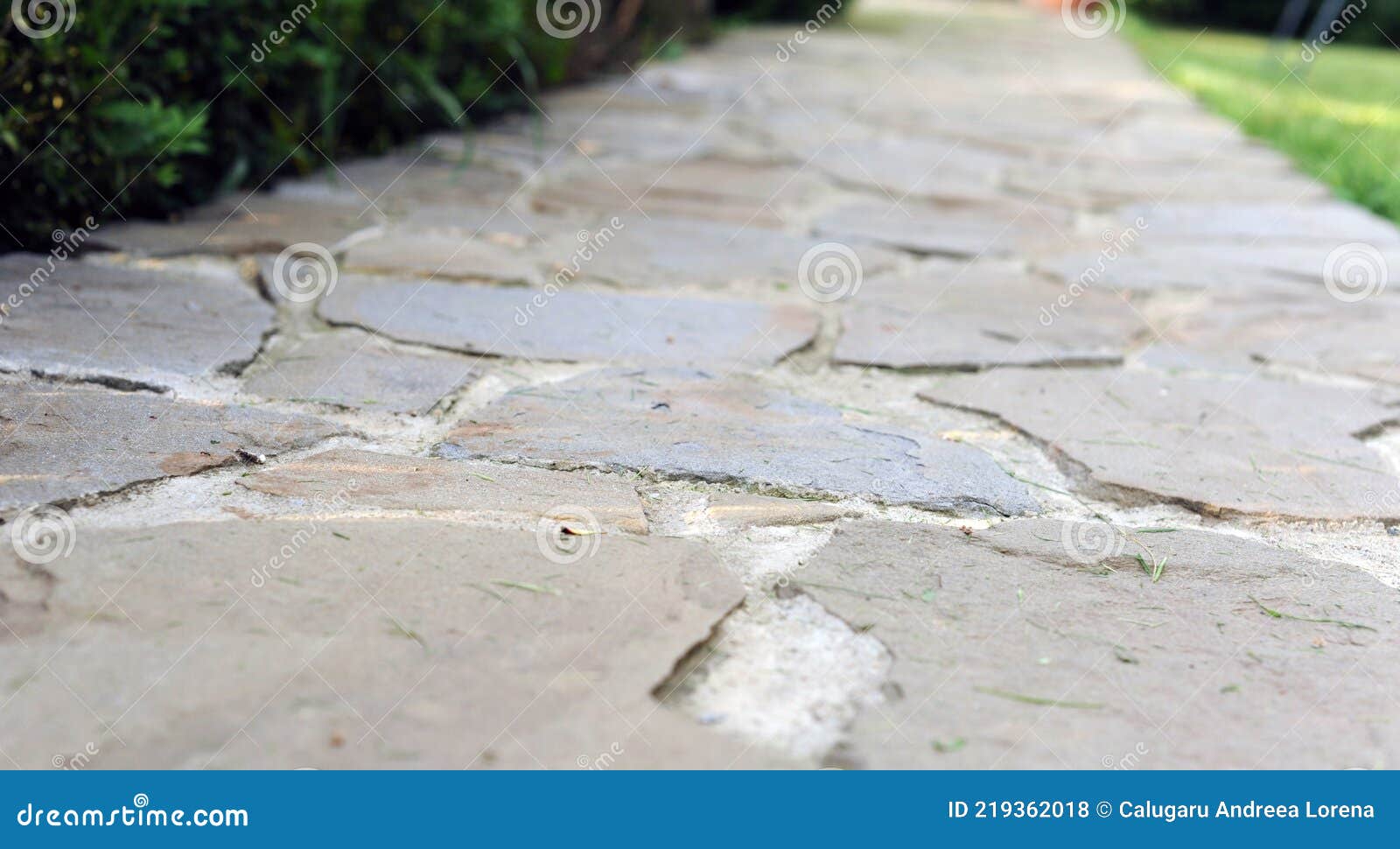Grey Cobblestone sidewalk stock photo. Image of cemented - 219362018