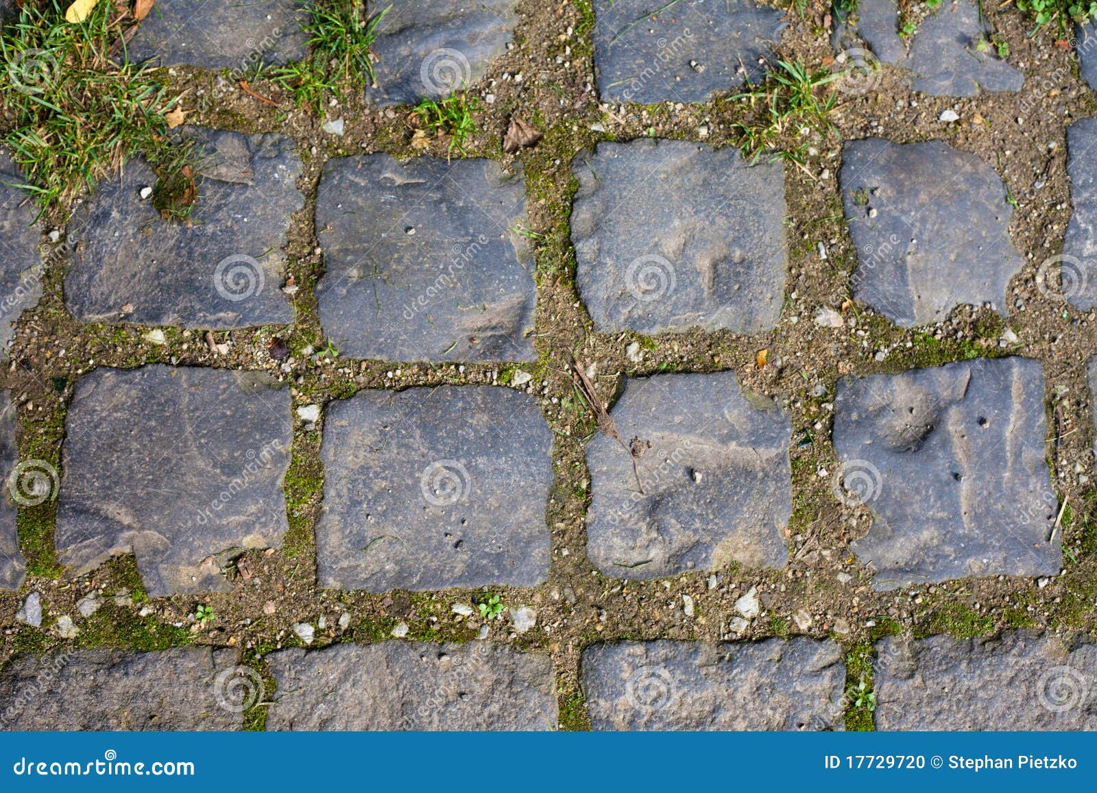 Grey Cobblestone Pavement Texture Background, Large Detailed Vertical ...