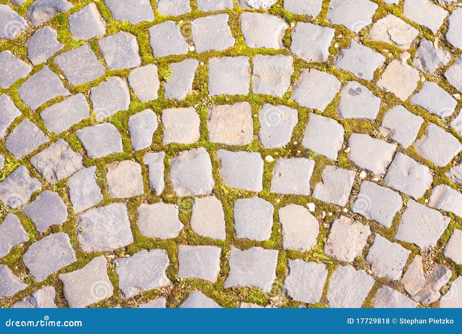 Grey Cobblestone Pavement Texture Background, Large Detailed Vertical ...