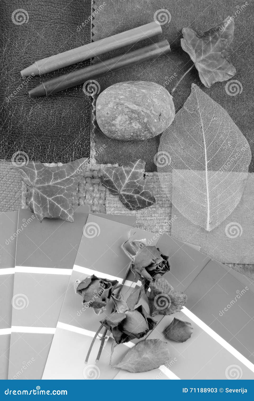 Color Harmonisation For Interior Stock Photography | CartoonDealer.com ...