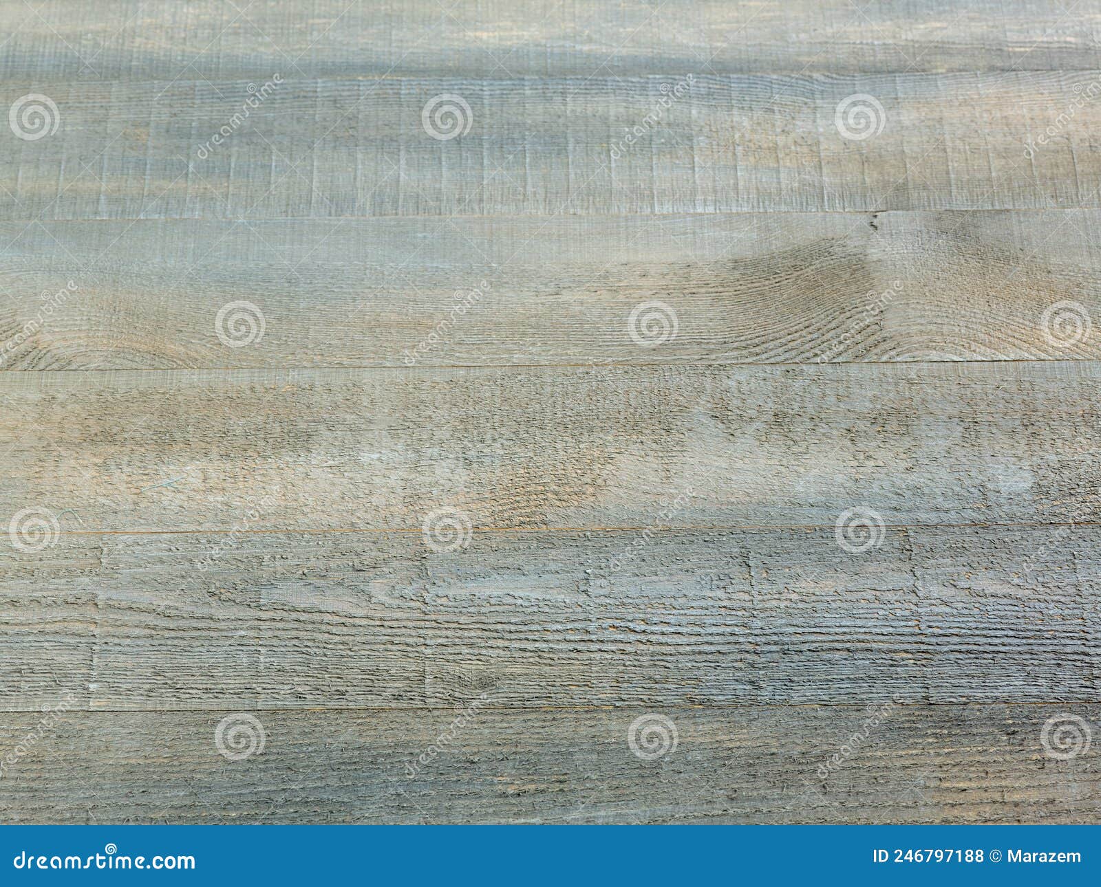 Grey wood texture stock photo. Image of grunge, plywood - 246797188