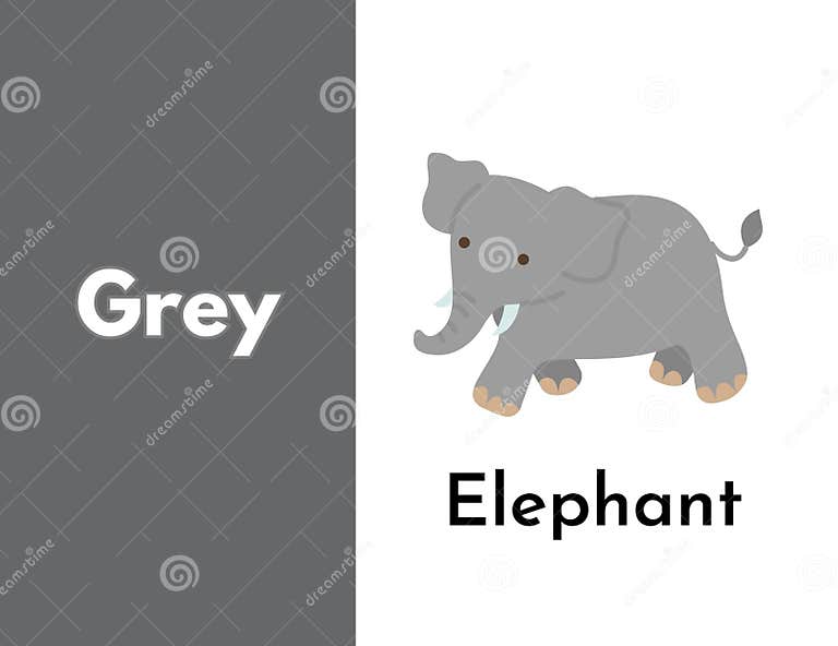 Grey Color Picture with Example Elephant Grey Color, Kids Learning - 1 ...