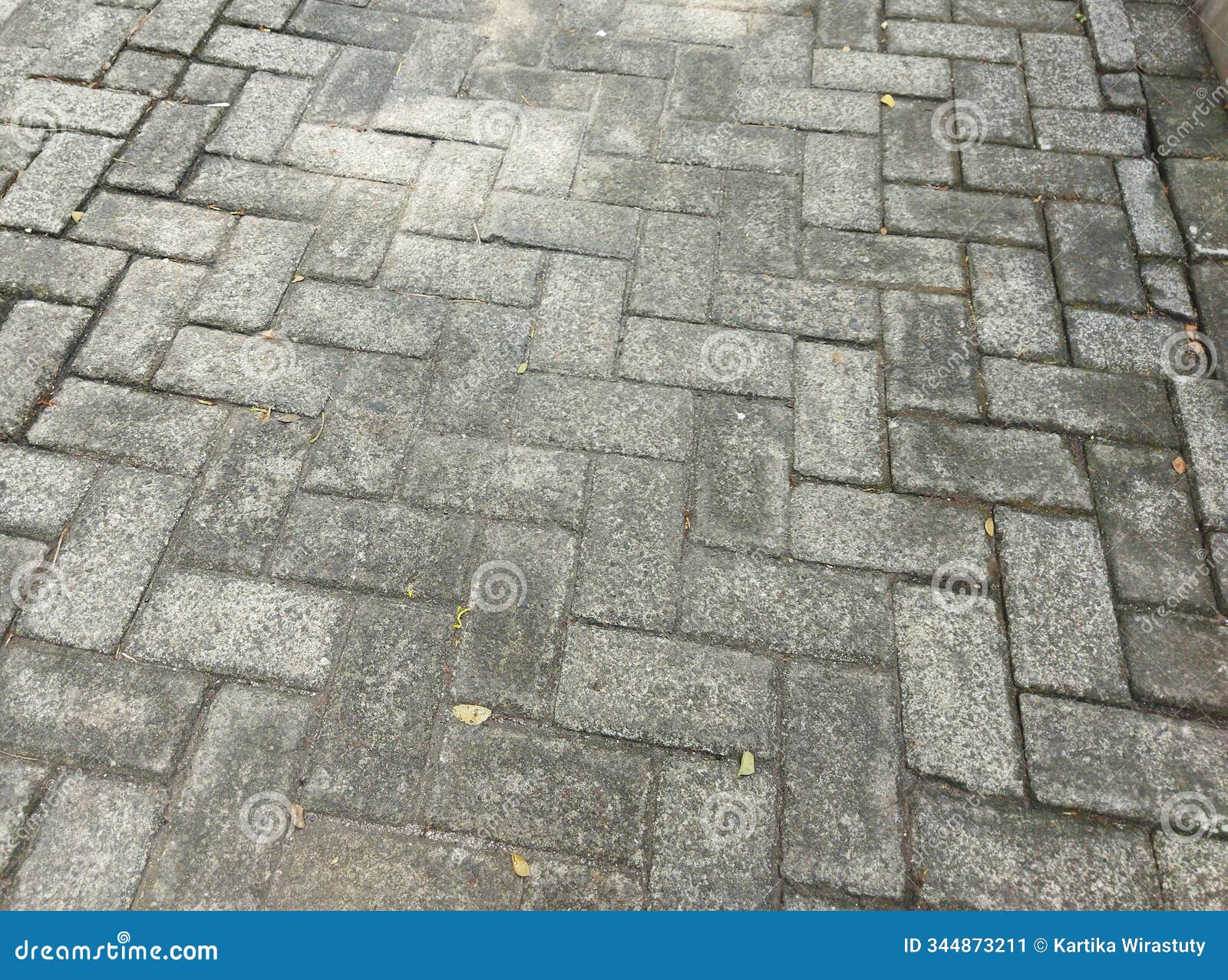 Sidewalk Tile Texture Royalty-Free Stock Image | CartoonDealer.com ...
