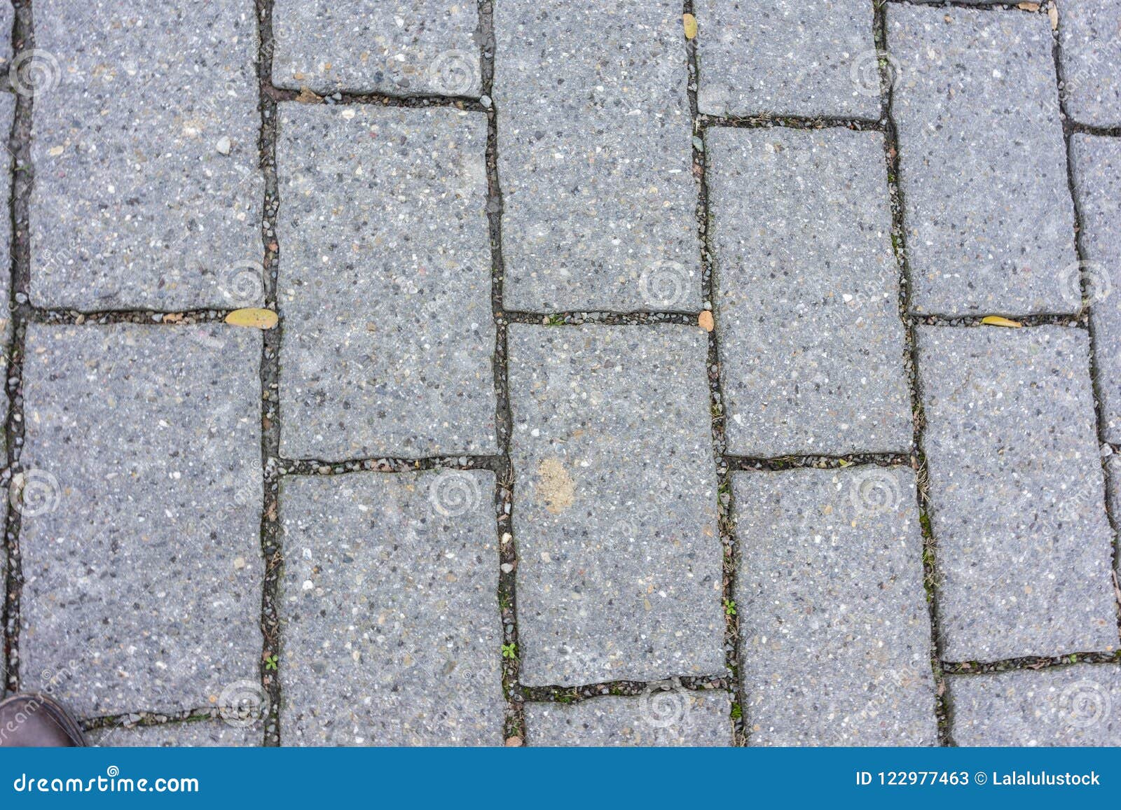 Grey Concrete Sidewalk Surface with Clear Lines Stock Image - Image of ...
