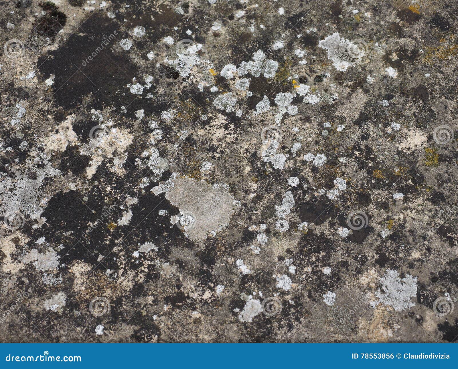 Grey Concrete Texture Background with Moss Stock Photo - Image of grey ...