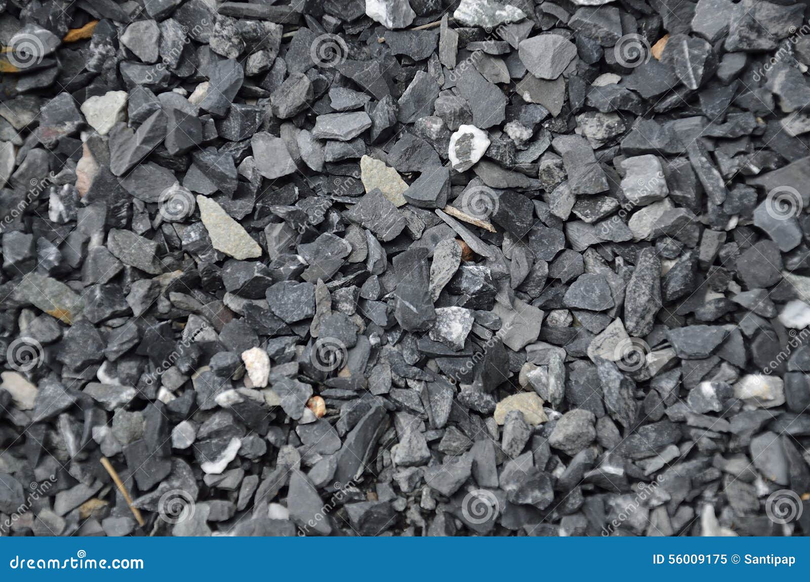 Grey Conglomerate of Rock stock image. Image of sandstone - 56009175