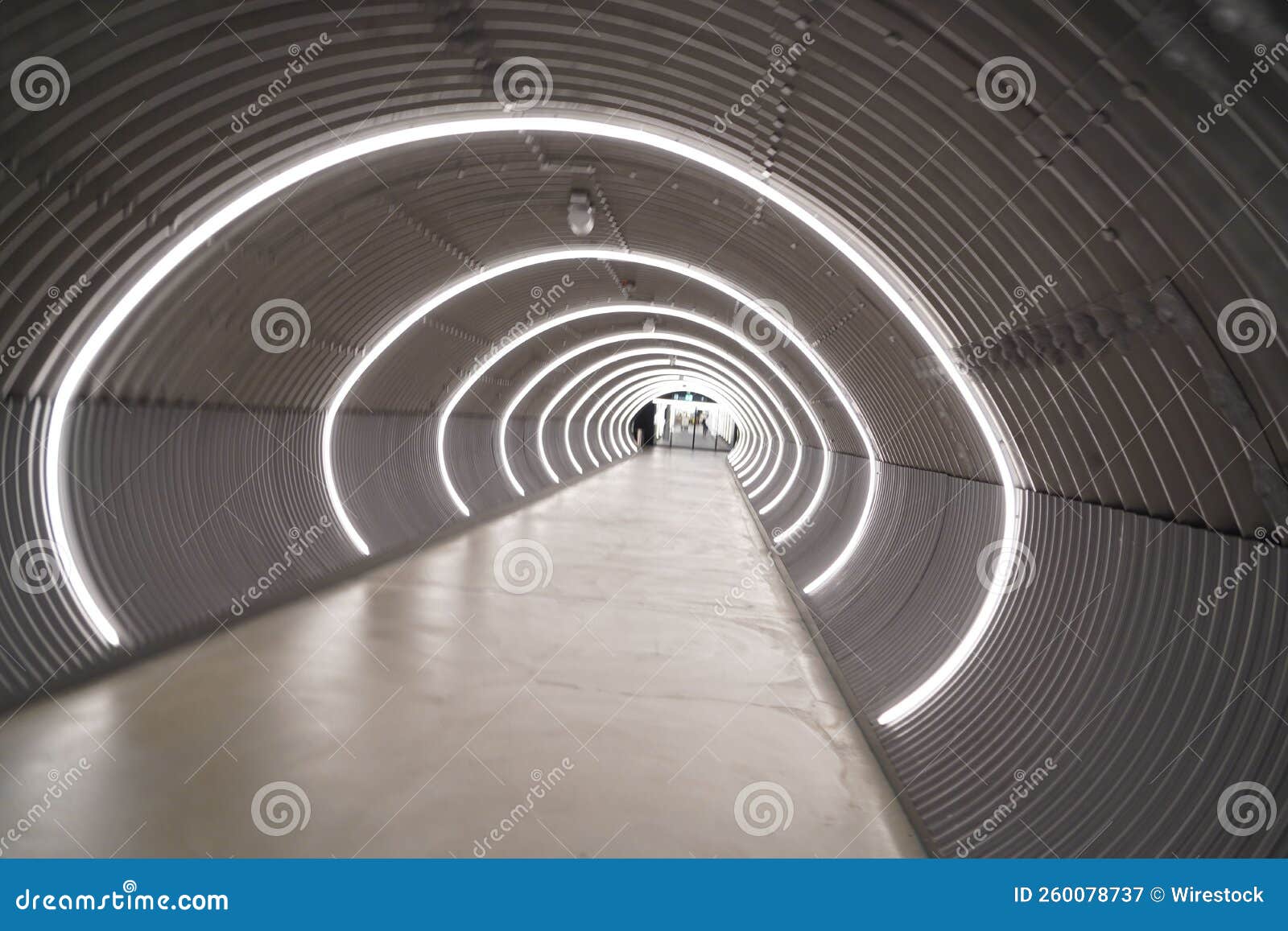 Grey Corridor with White Neon Lights Circle Stock Illustration ...