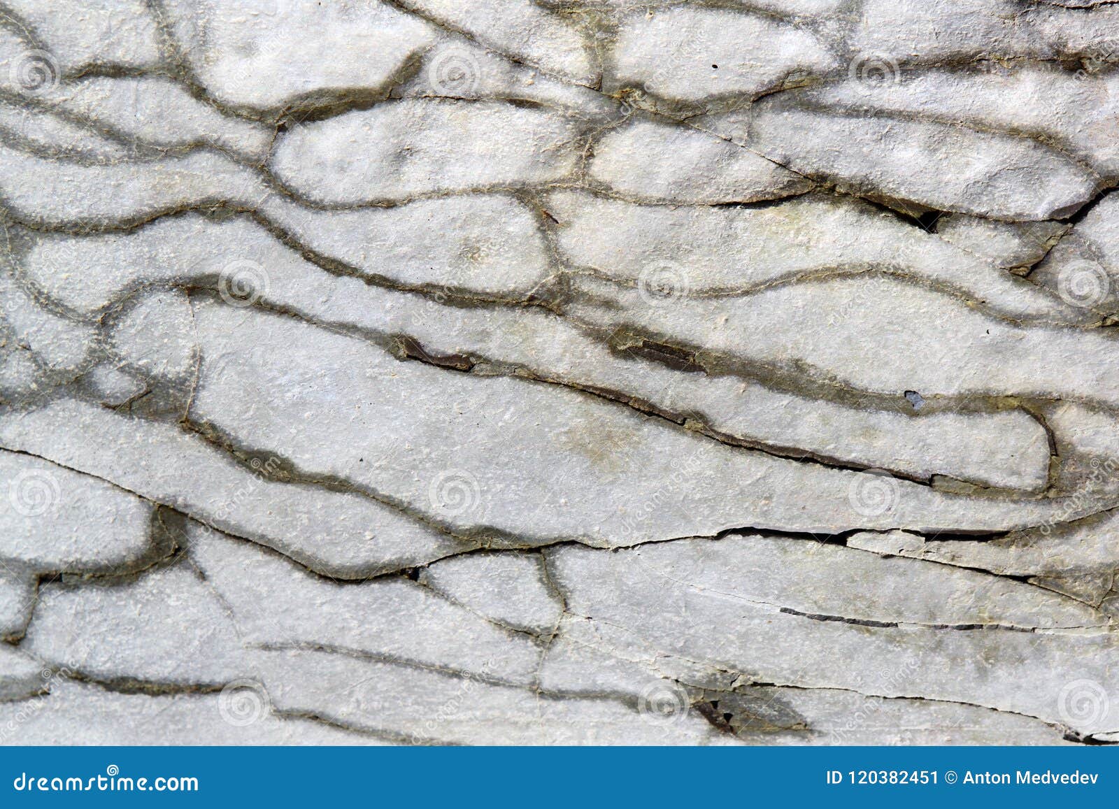 Grey Cracked Stone Surface Texture. Stock Image - Image of color ...