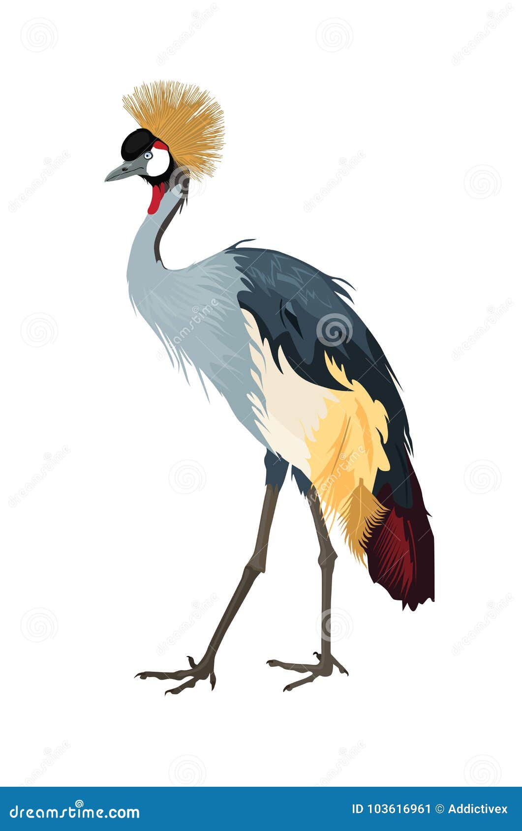 Red Crowned Crane Cartoon Vector | CartoonDealer.com #63320921
