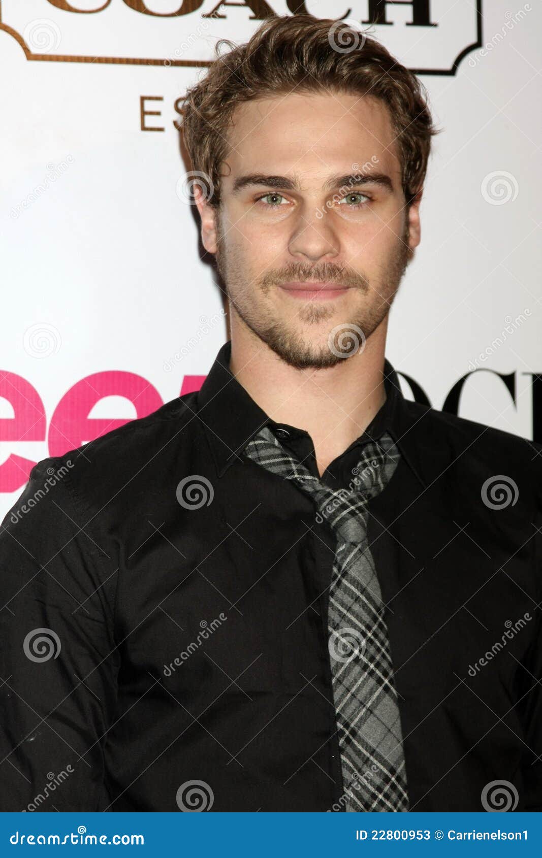 Grey Damon editorial stock photo. Image of grey, sept - 22800953