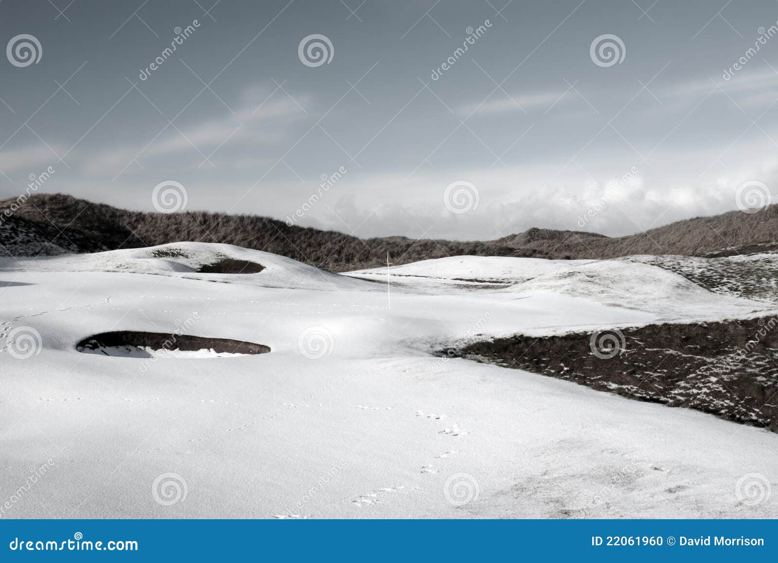 Grey Day on a Snow Covered Golf Course Stock Photo - Image of country ...