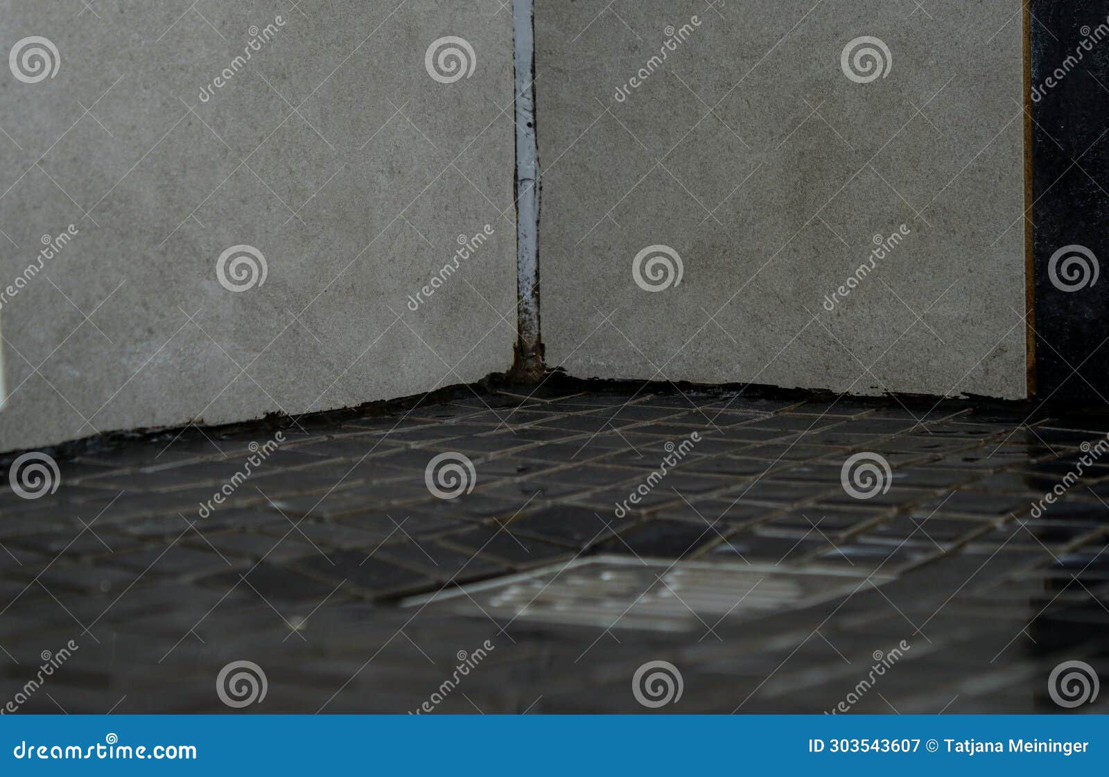 Grey Dirty Tiles with Mold in a Bathroom Stock Image - Image of black ...