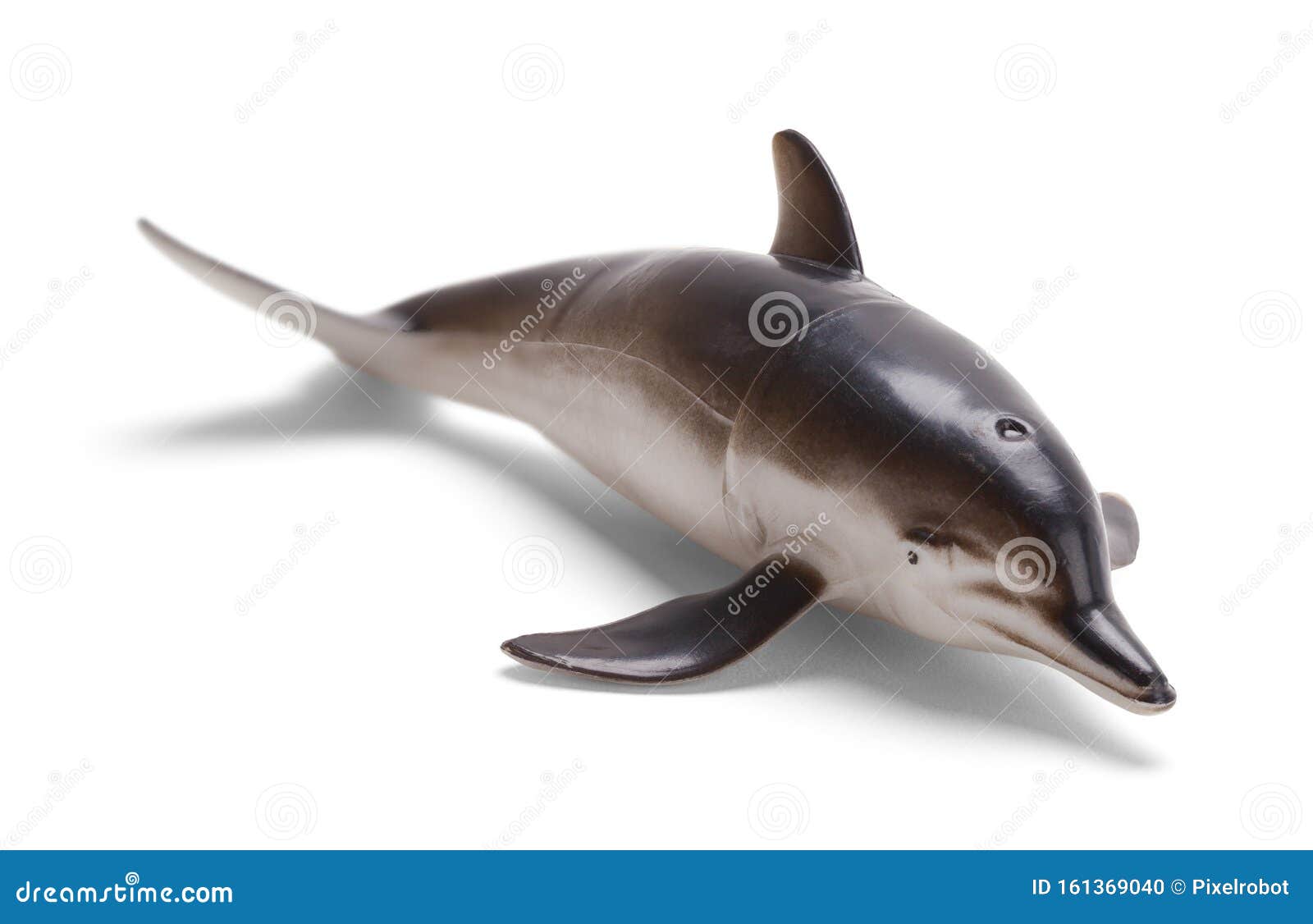 Grey Dolphin Stock Photos - Download 2,114 Royalty Free Photos