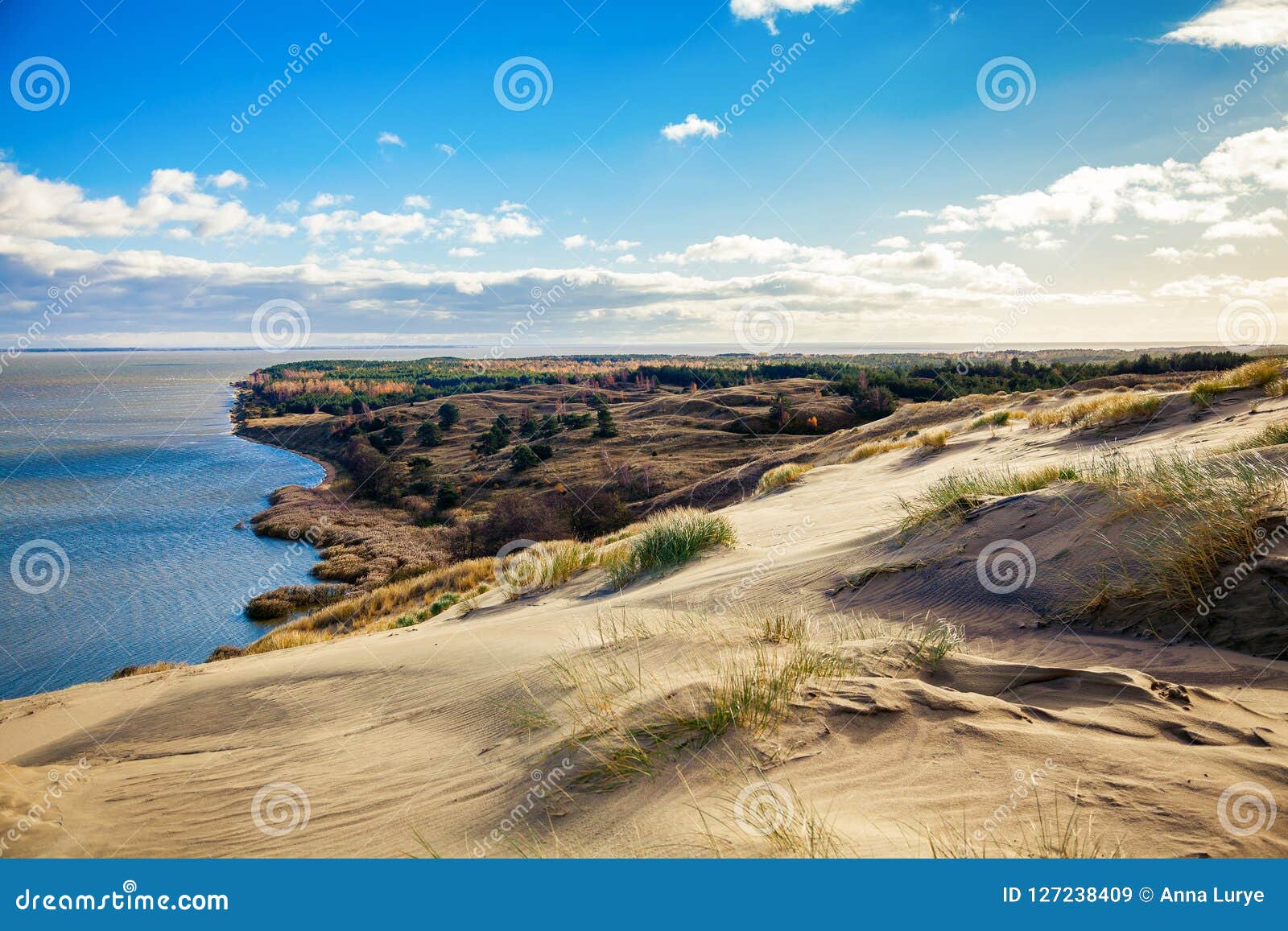 Grey Dunes at the Curonian Spit Stock Image - Image of hedge, park ...